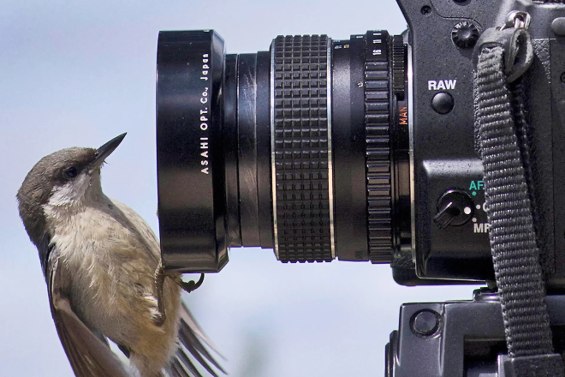 After Prescient Pivot, Aviary Tools Now Seeing 10 Million Photos A ...