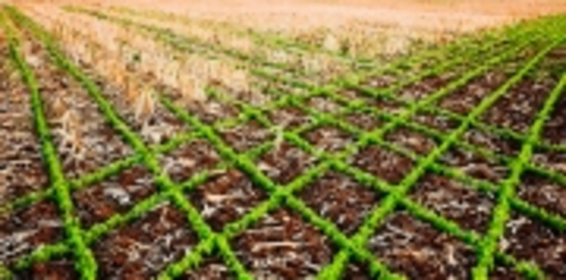 Untangling The Real Meaning Of "First-To-File" Patents - Fast Company