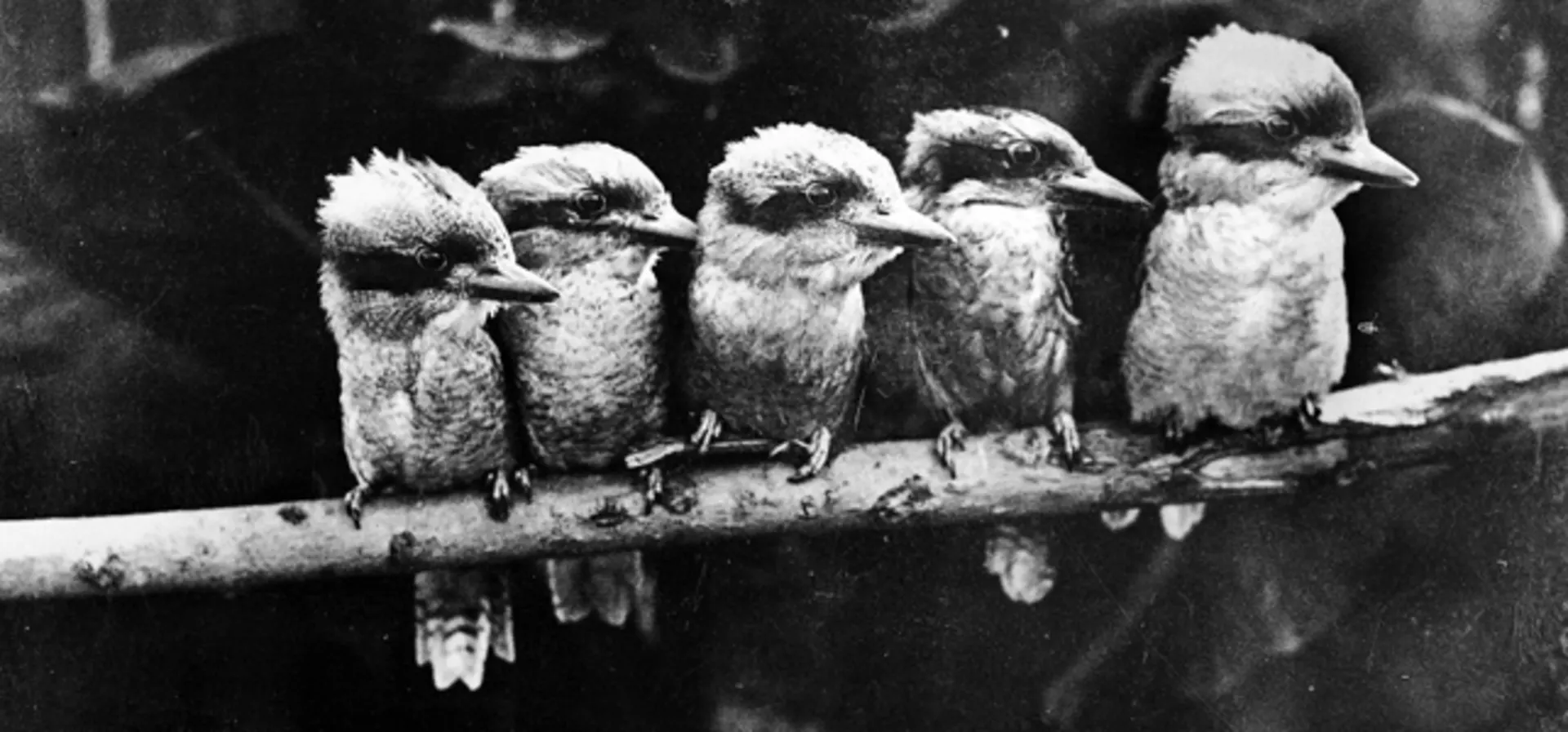 The Difference Between Negative And Competitive Advertising-And What ...