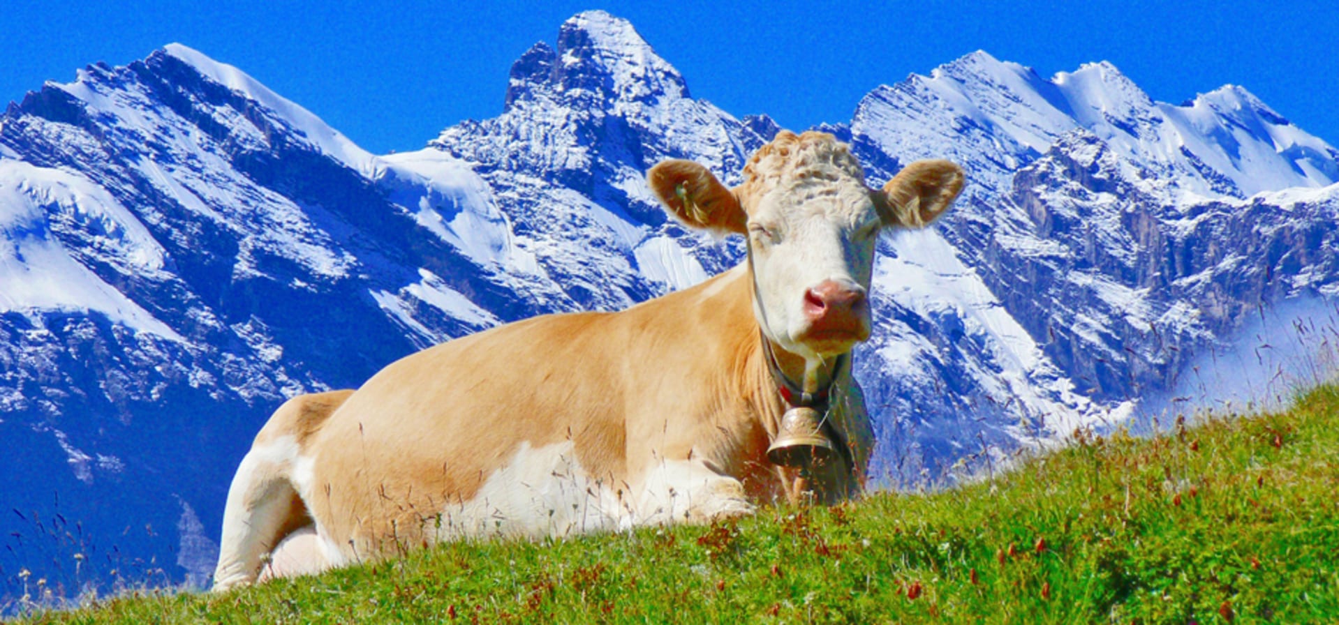 How To Foster Outrageously Awesome Employee Engagement - Fast Company