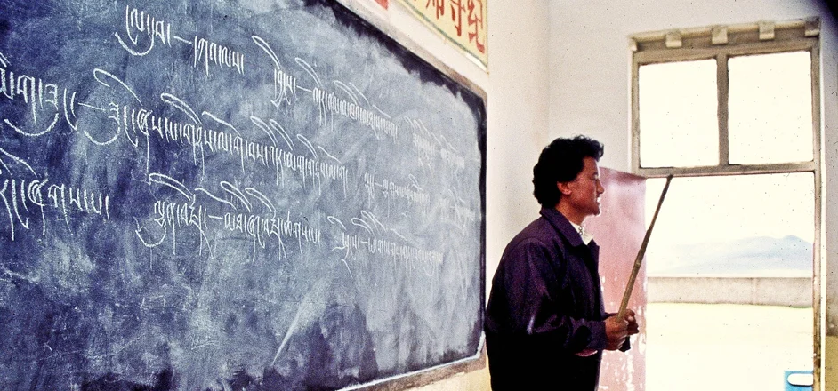 Duolingo Plans To Translate Virtual Language Learning Into Real-Life ...