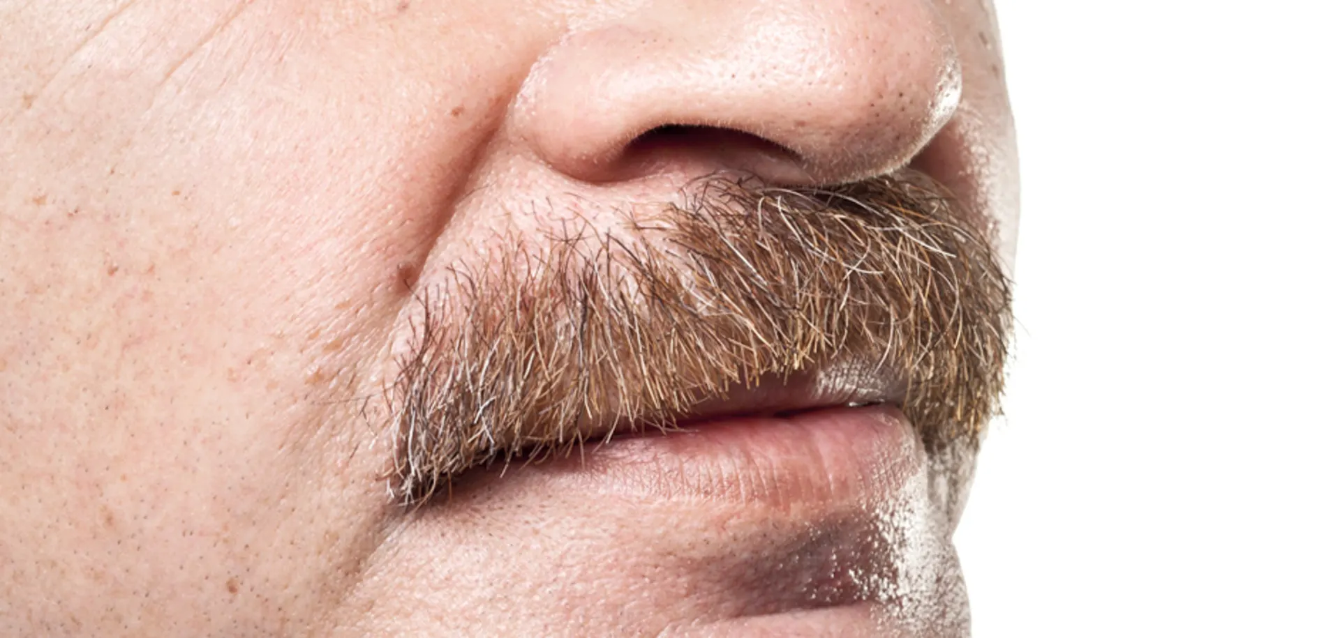 These Sweet Moustaches Made 2012 A Record-Breaker For Cancer-Crushing ...