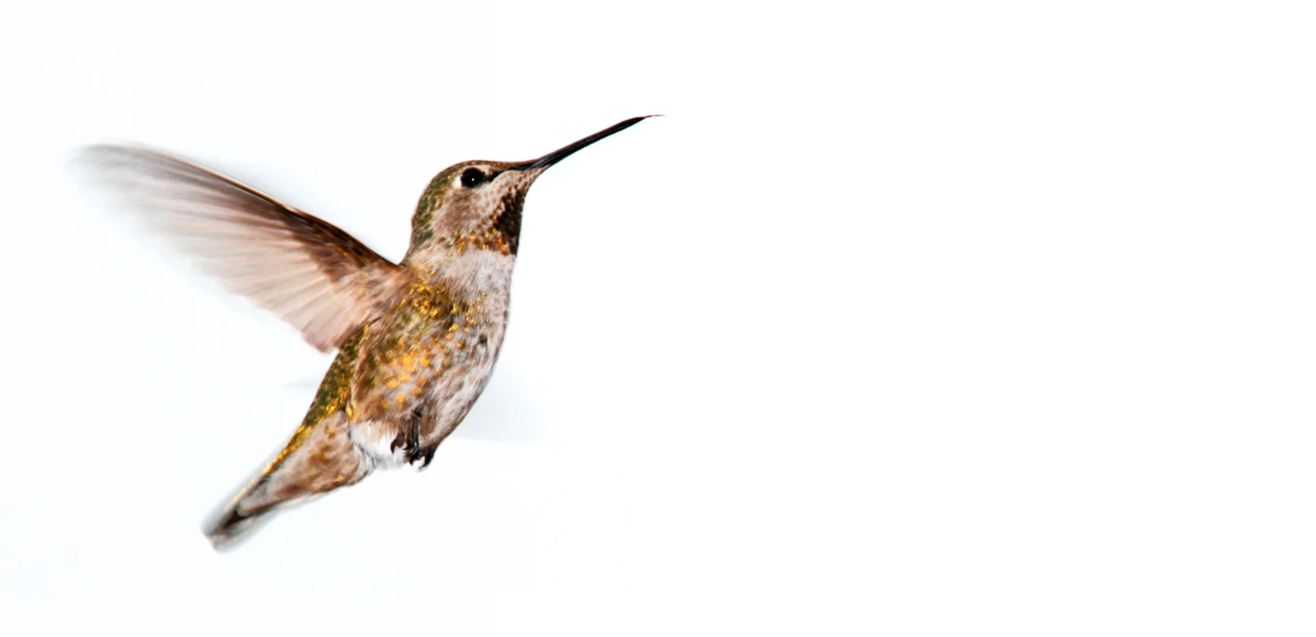 Google This: What It Means When A Brand Becomes A Verb - Fast Company