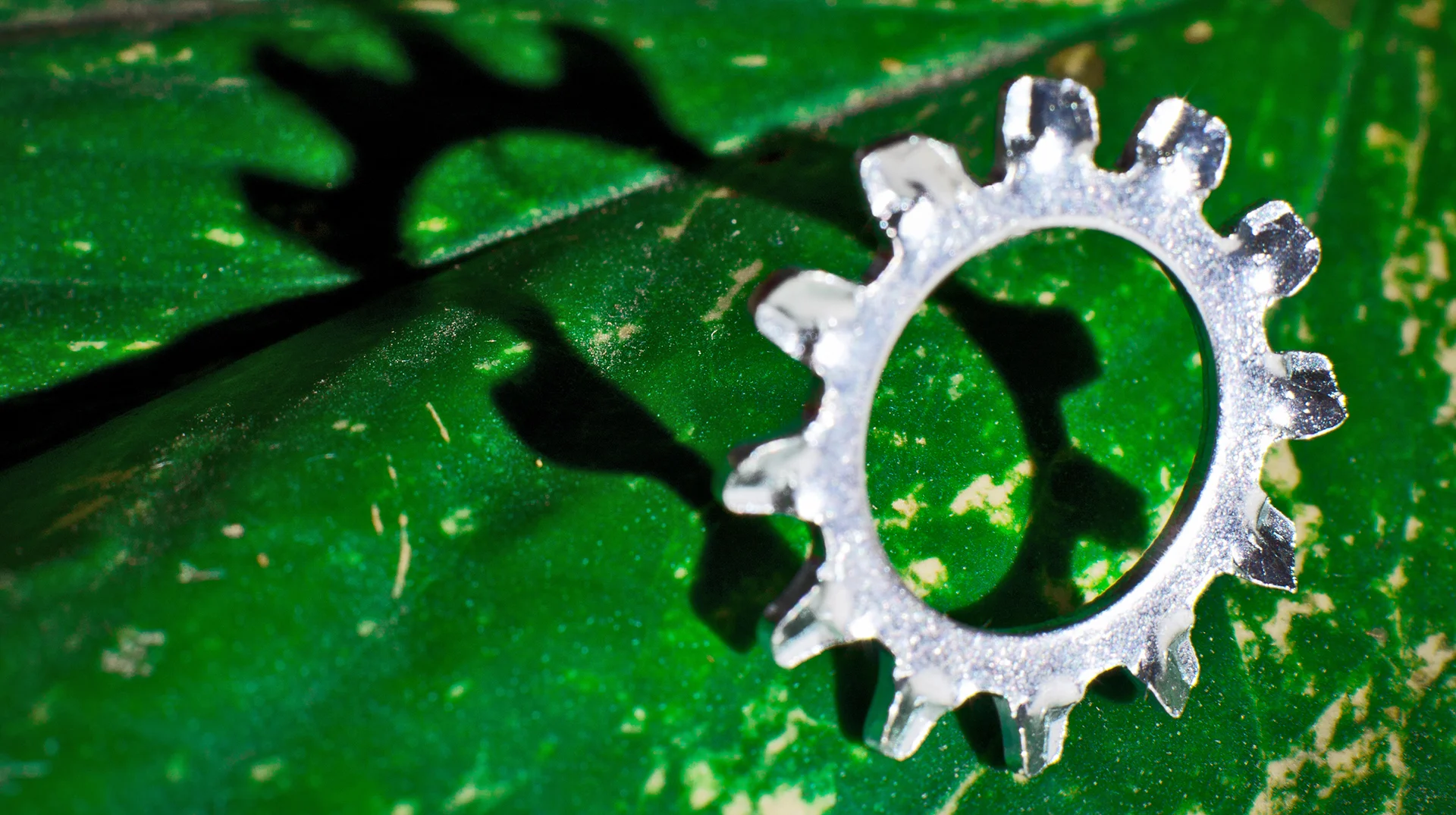 Four Steps To Reinventing Your Career - Fast Company