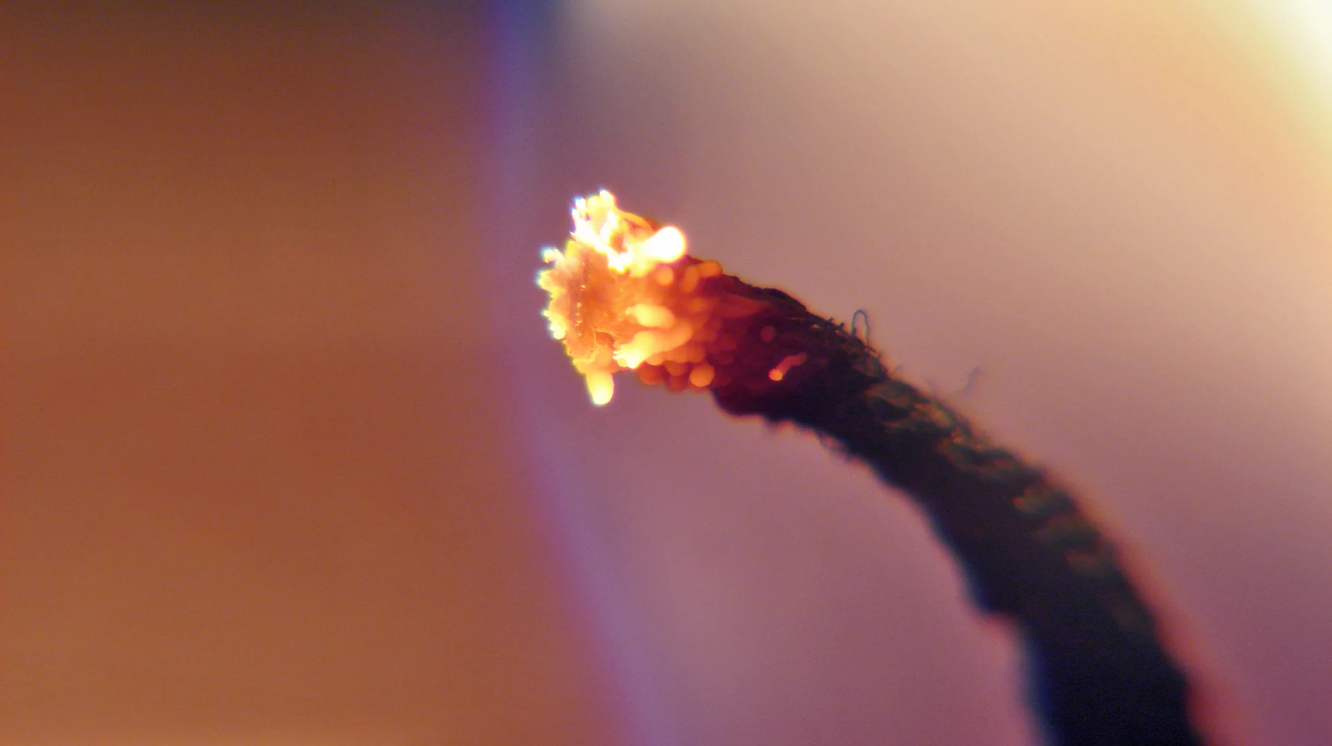 Why "Hire Slow, Fire Fast" Is A Better Idea Than You Think - Fast Company