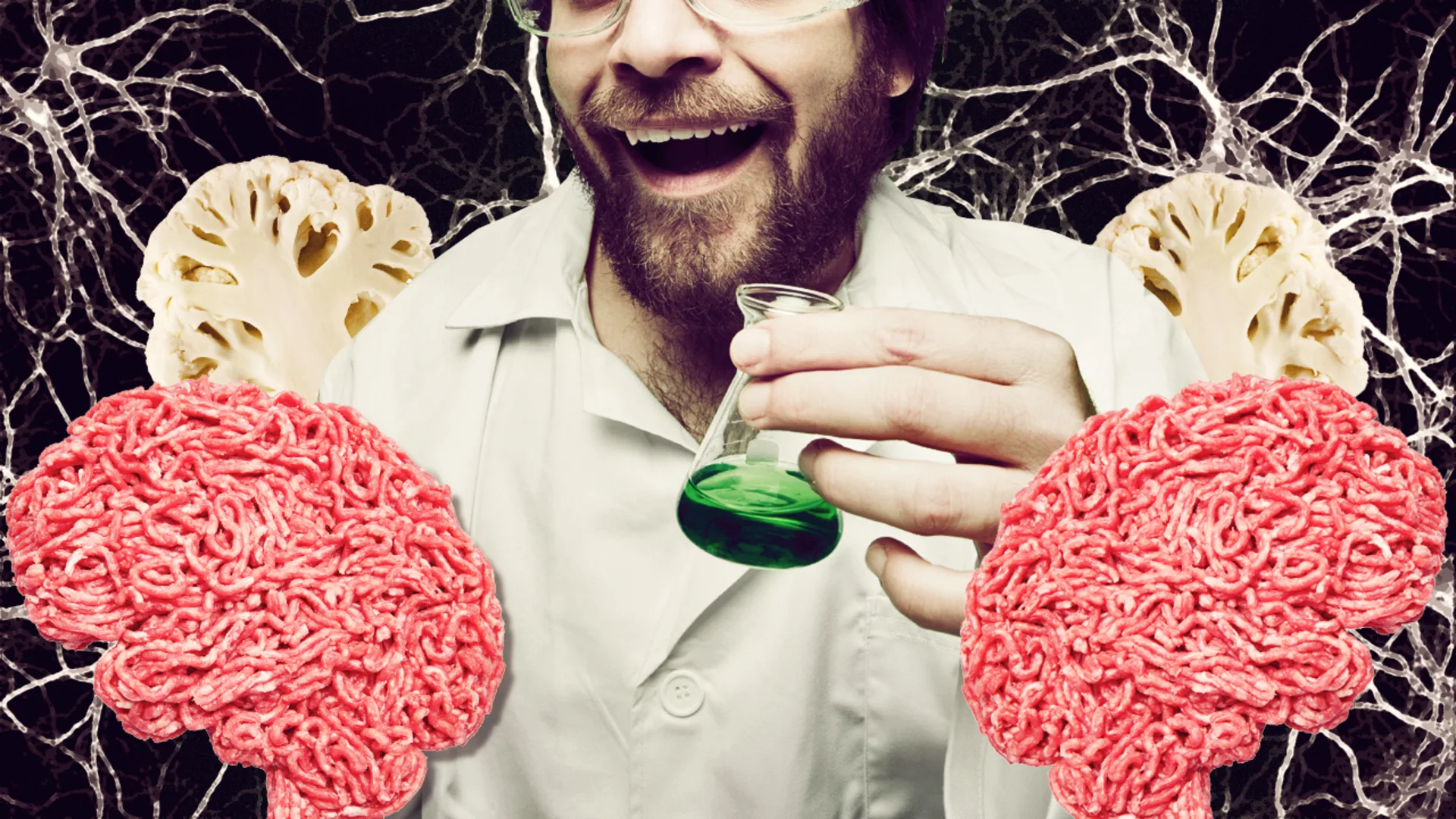 A Plastic Salad Bowl Was The Cortex: Or, How I've Been Mapping The ...