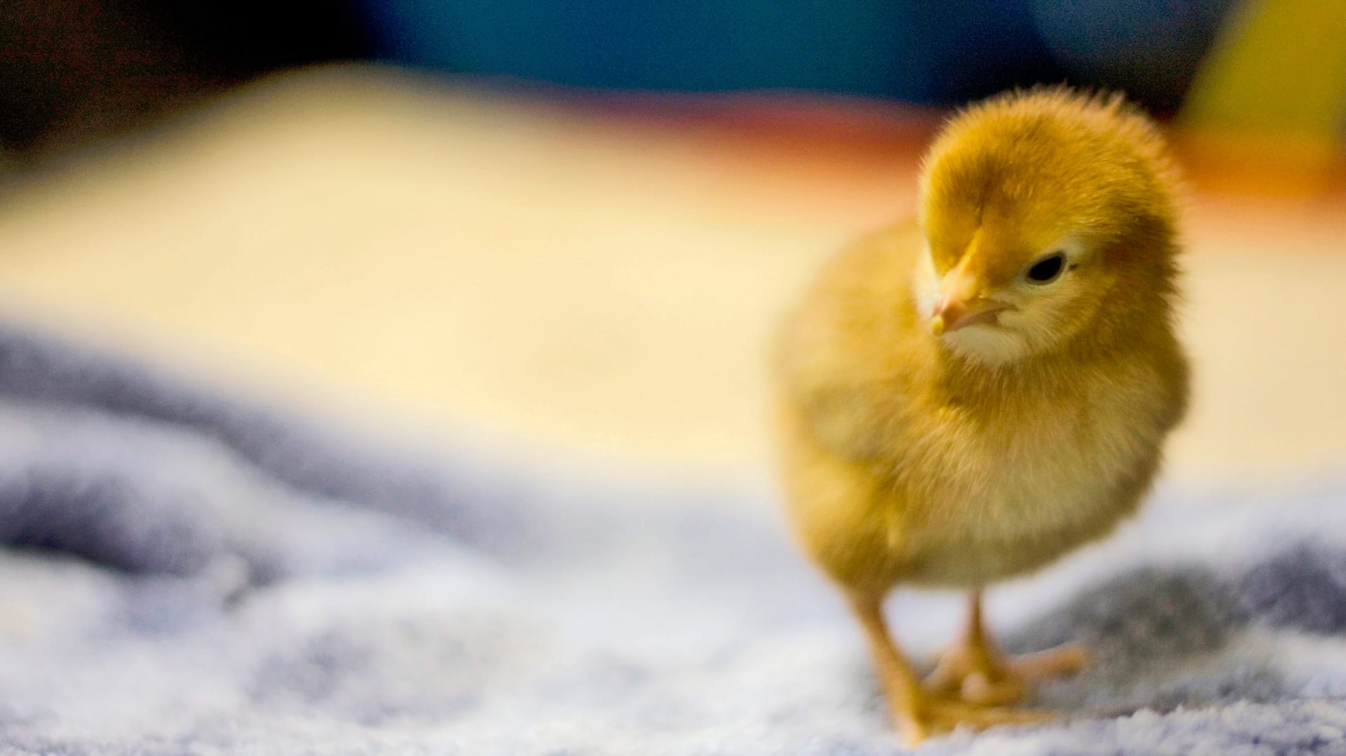 Why Being An Eternal Newbie Leads To Awesome Work - Fast Company