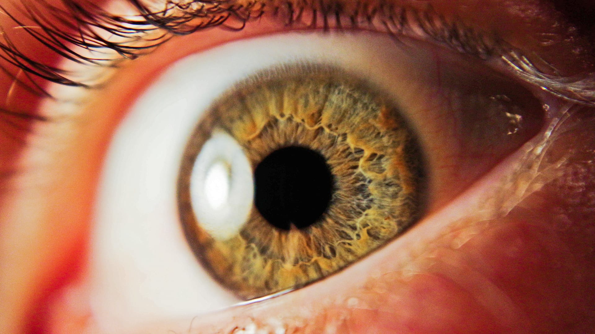 Saying Goodbye To The HTML Blink Tag - Fast Company