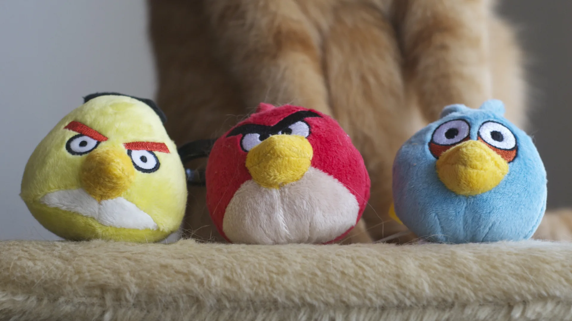 Can Angry Birds Teach Children Math, Science, Music, Language, and More ...