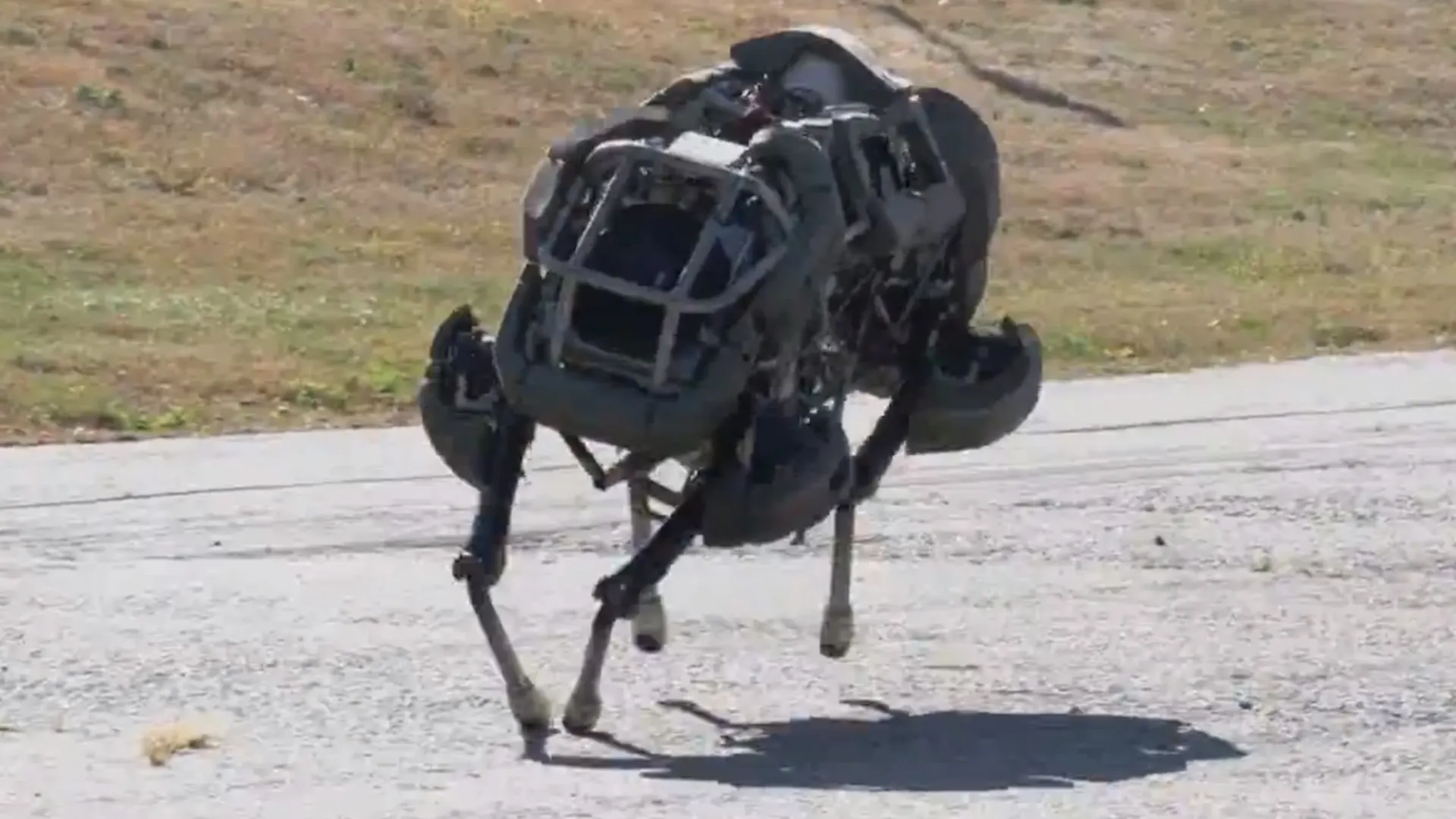 Meet WildCat, The Galloping Robot Animal And Future Soldier's Companion ...