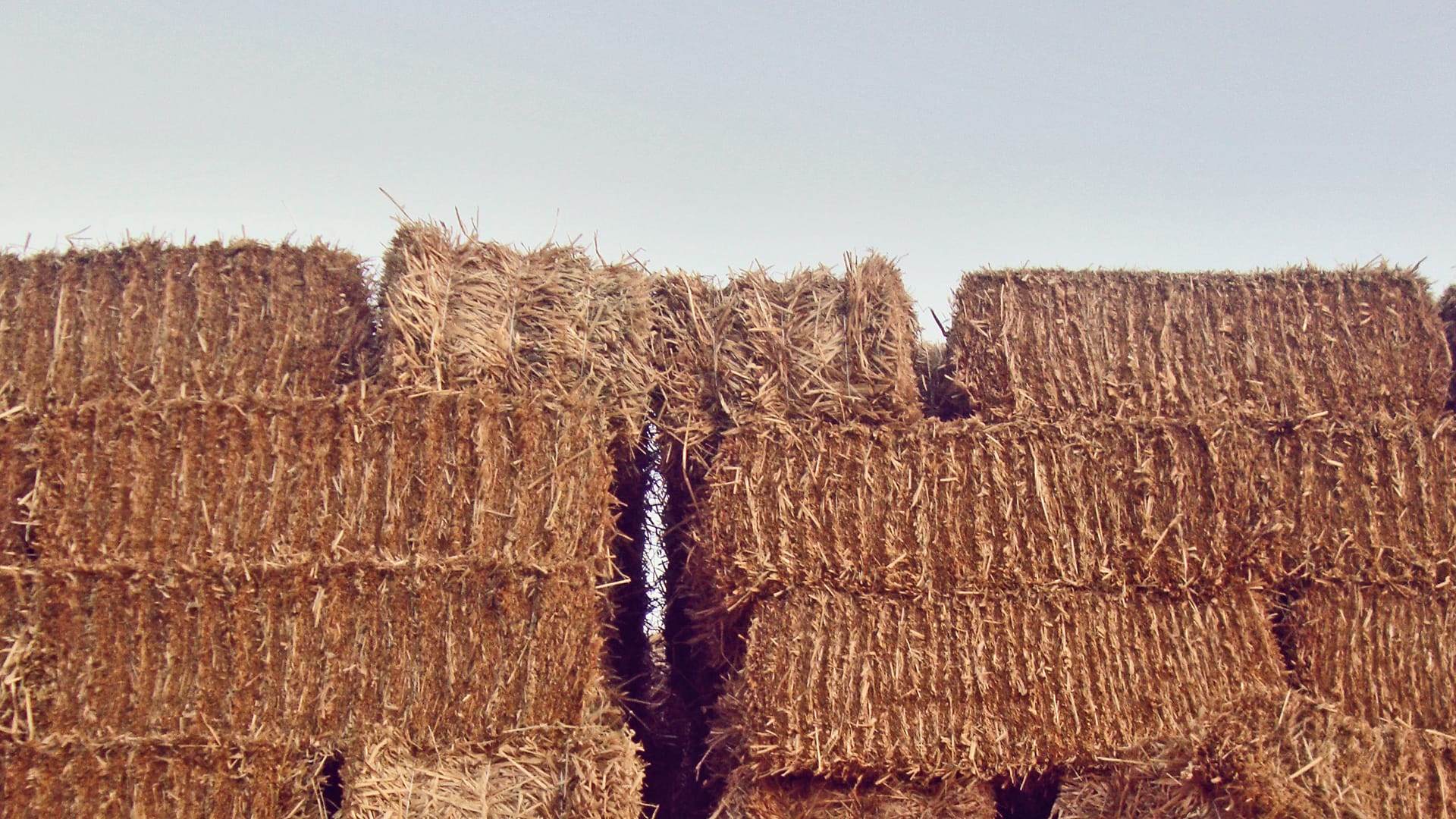 How To Ask Questions That Uncover Your Company's Values - Fast Company