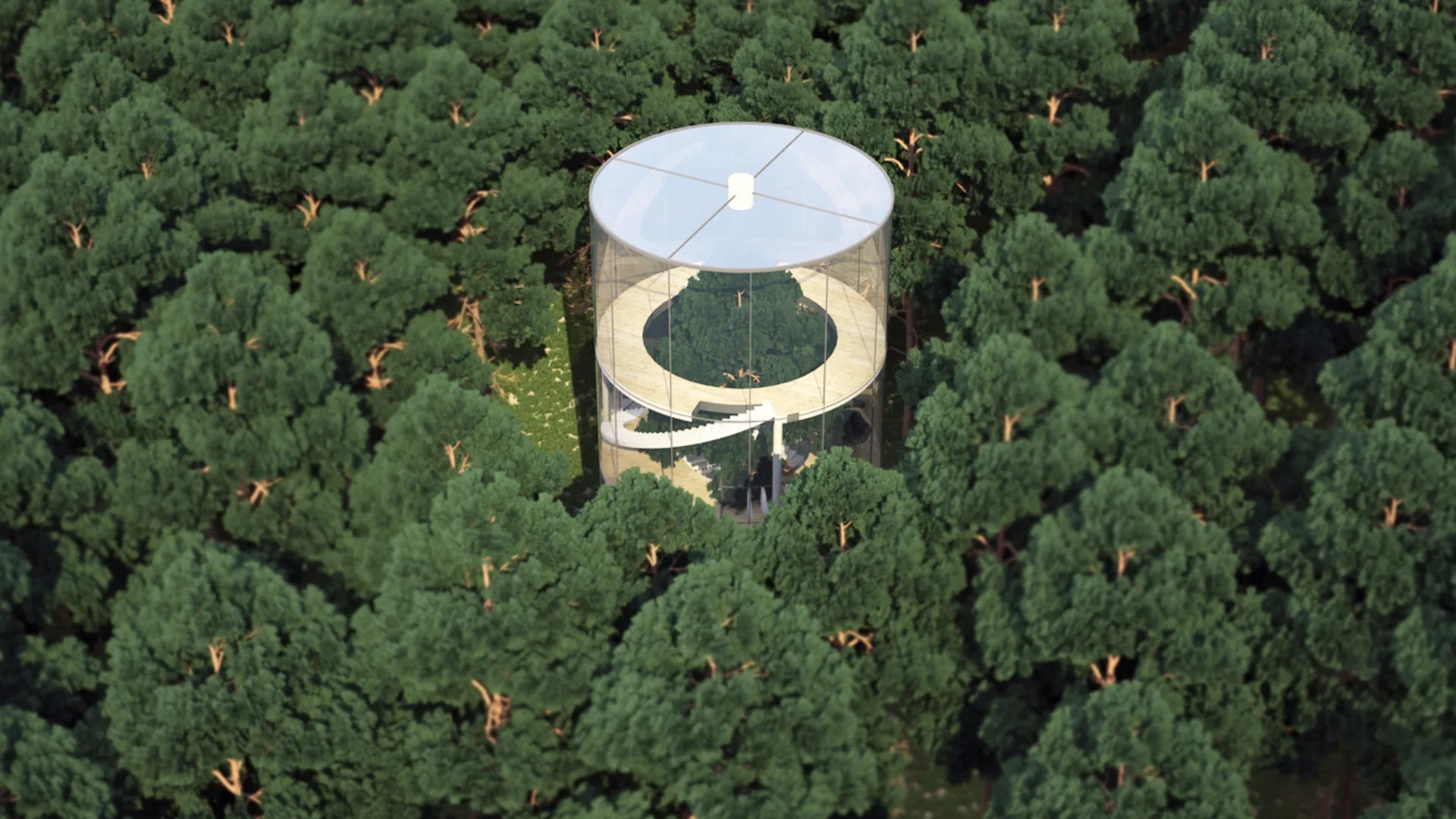 This Literal Treehouse Is A Glass House Built Around An Entire Tree ...