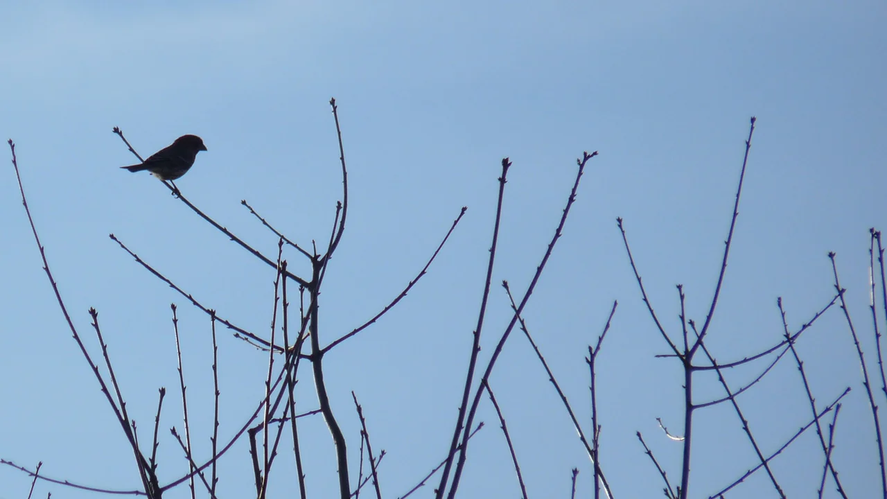 14 Moments That Defined Twitter - Fast Company