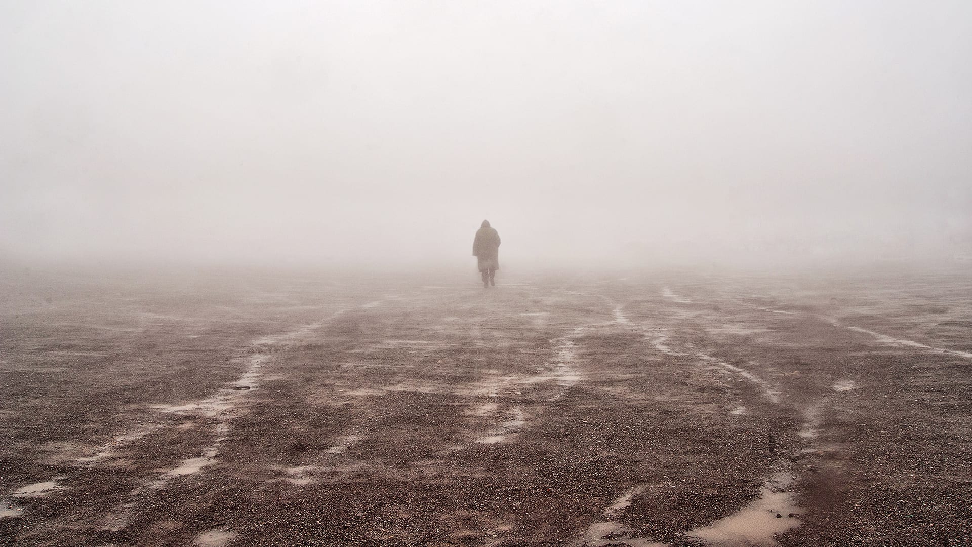 The Lone Wolf: Killer Apps For Flying Solo - Fast Company