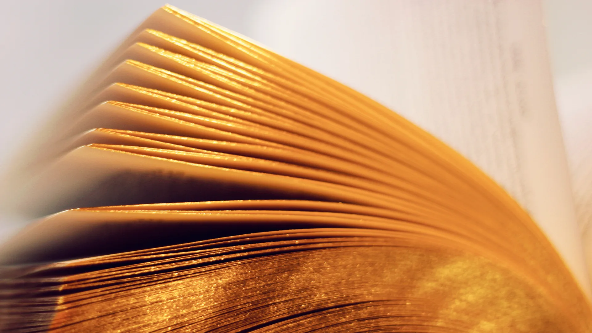 Infographic: See Just How Popular The Most Popular Books Ever Written ...