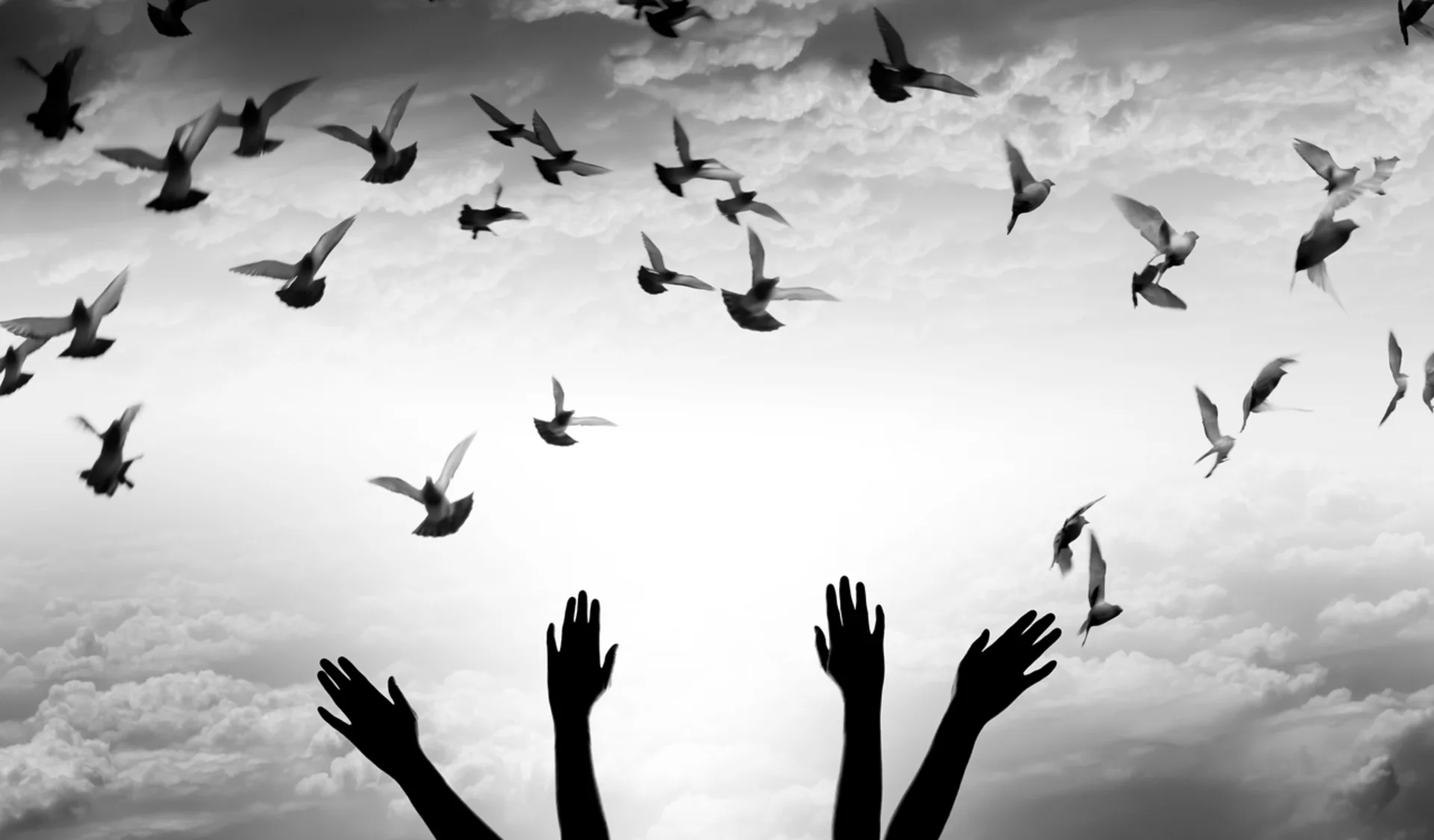 10 Surprising Twitter Statistics To Help You Reach More Followers ...