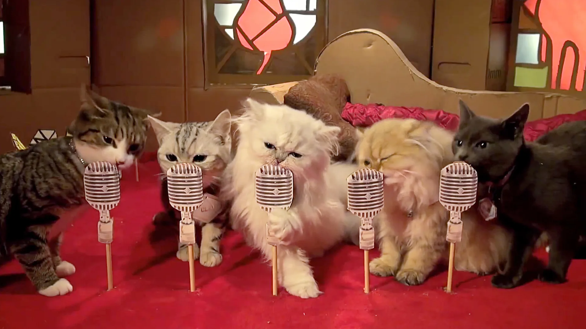 Cat Litter Advertising Gets A Little More Sexy With The Poopy Cat Dolls ...