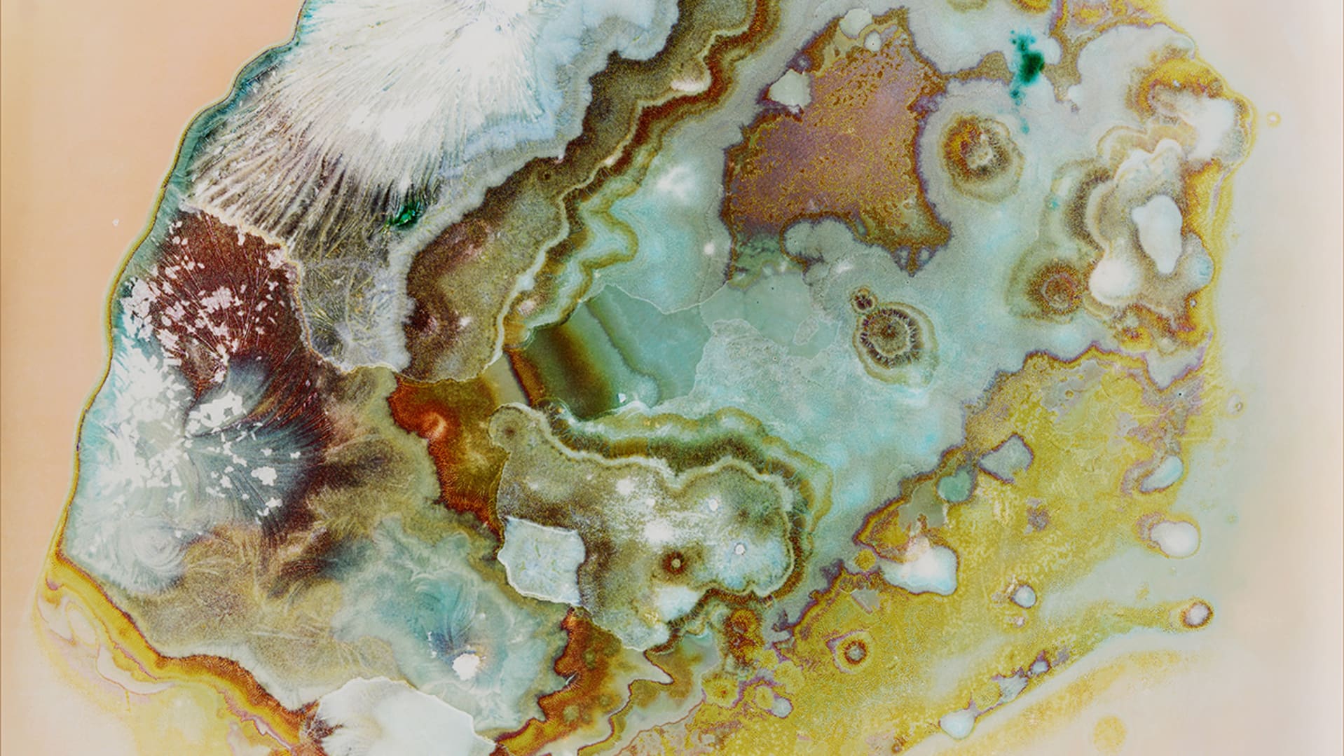 High Art: A Beautiful, Microscopic Look At Cocaine, MDMA, And Other ...