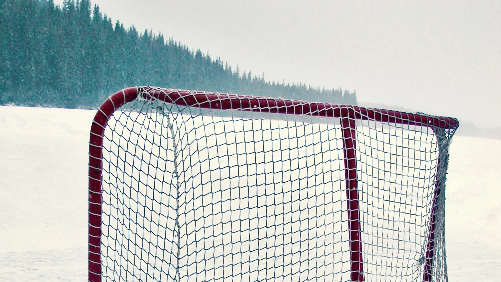 5 Tips For Receiving Great Ideas From Employees - Fast Company