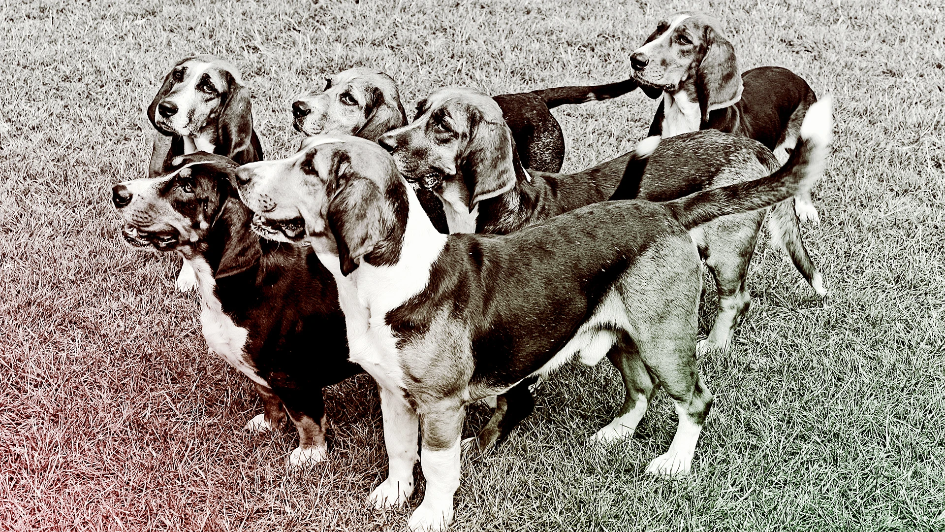 What You Need To Know To Create An Accountability Group That Works ...