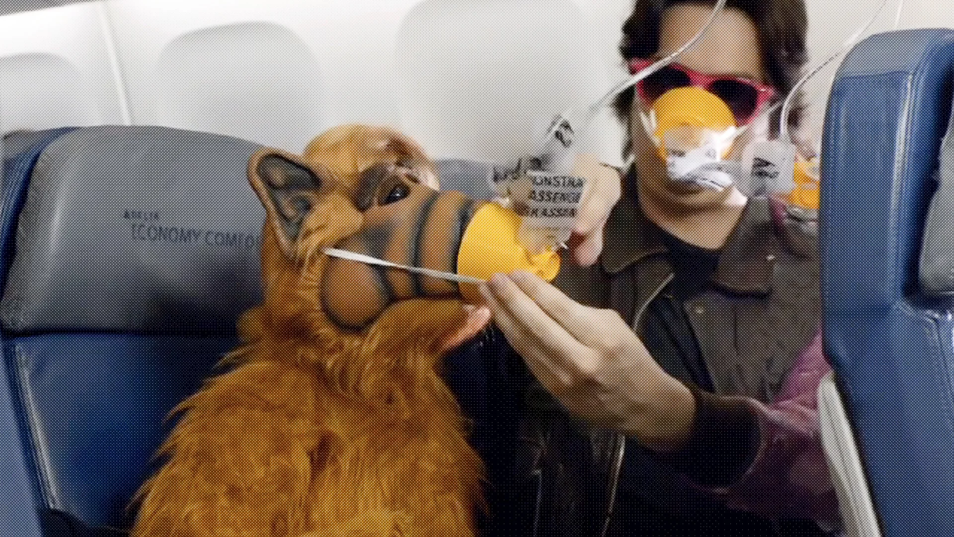 Delta's Awesome '80s Safety Video: How ALF, One Of The Guys From Devo ...
