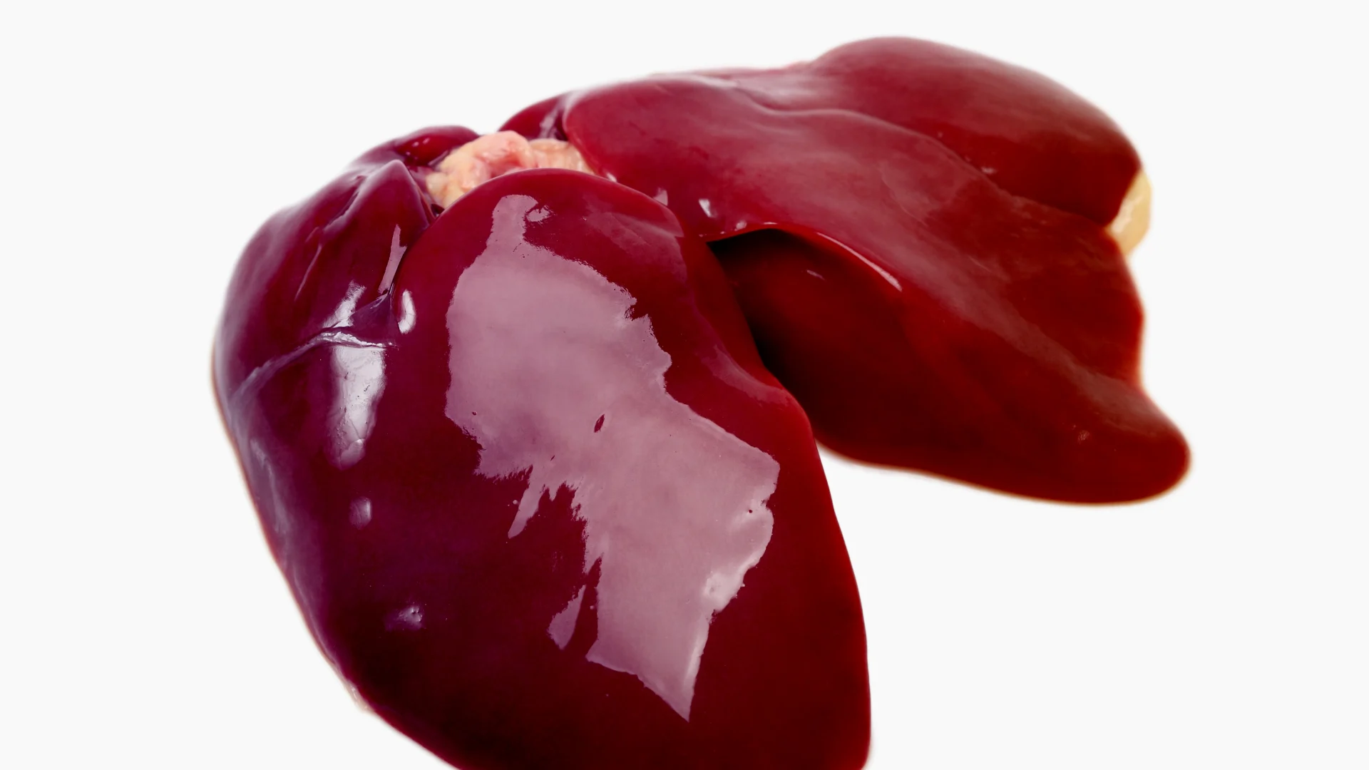 Scientists Discover The First Direct Link Between BPA And Cancer - Fast ...