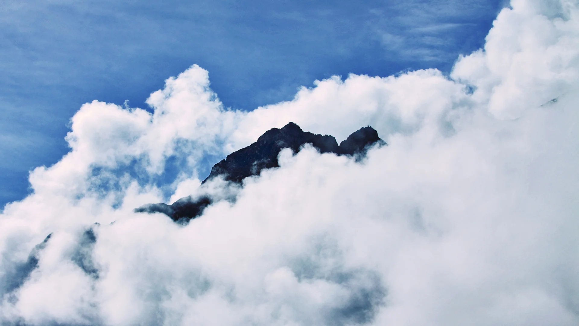 Tired Of Managing Different Services For Work? Peak Is The One ...