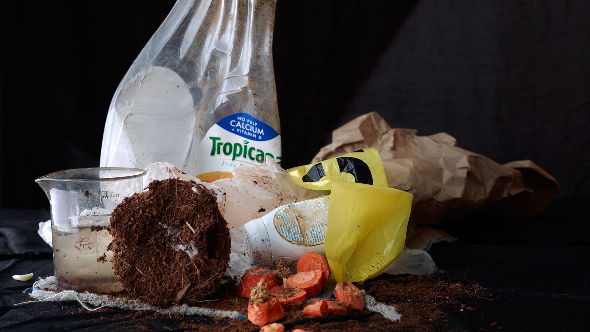 These Gorgeous Still Lifes Are Made From All Our Litter - Fast Company