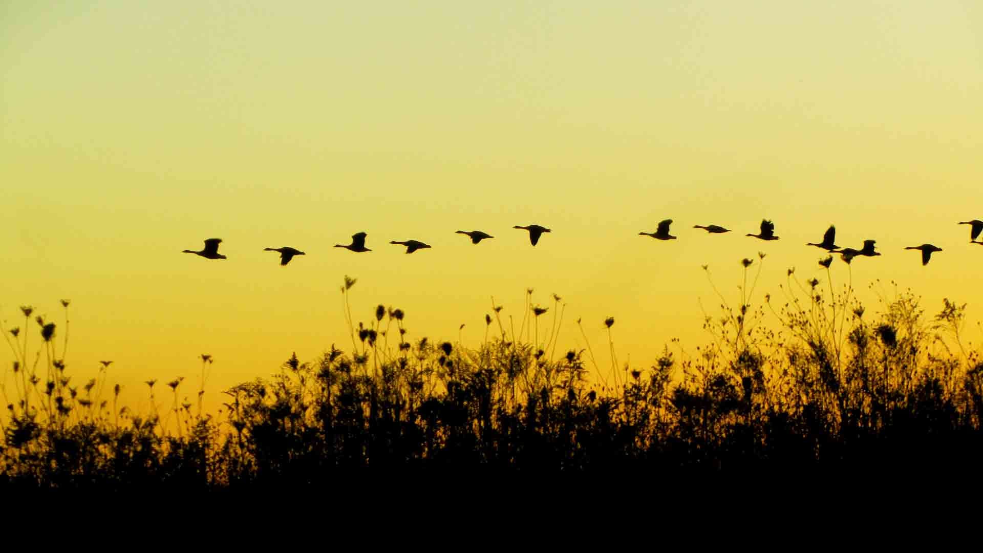 5 Ways Being A Good Follower Makes You A Better Leader - Fast Company