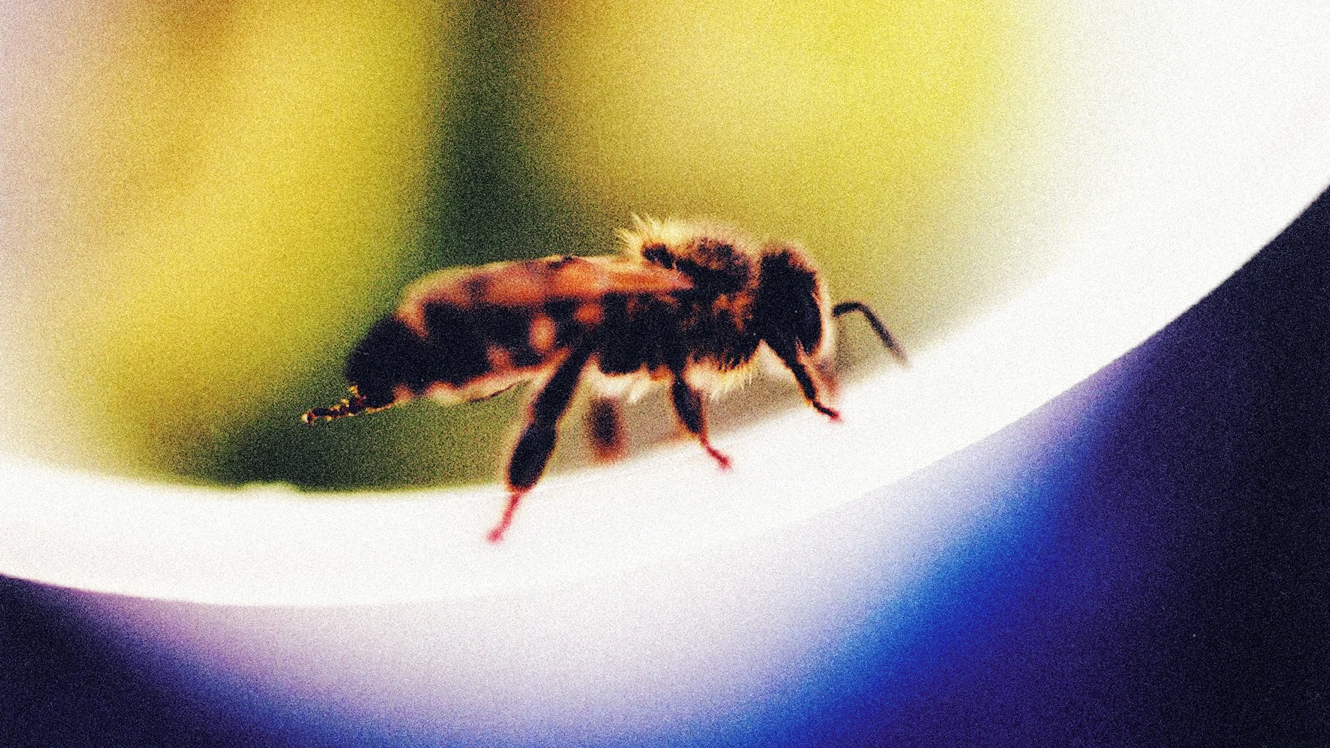 Foursquare Ditches The Check-In, Introduces Swarm, A New Location ...