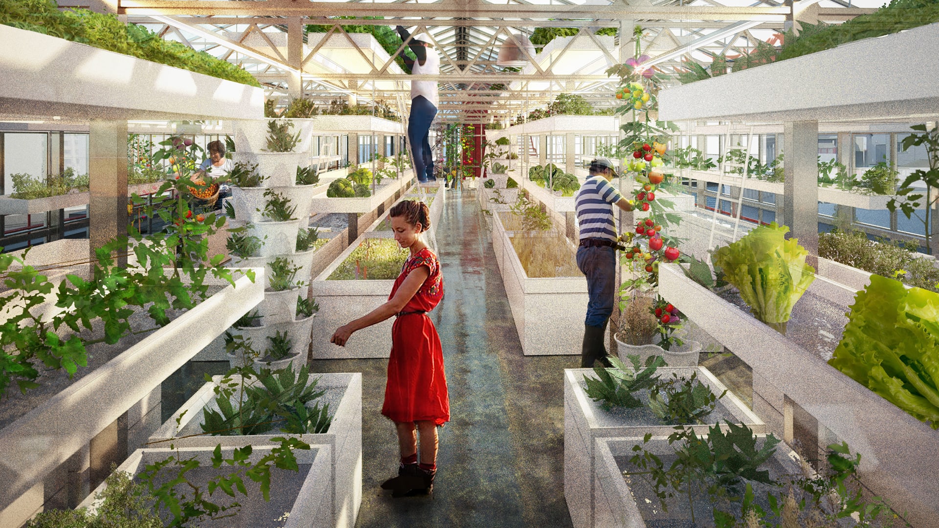 Build Your Own Full-Scale Rooftop Farming Operation, With This Easy Kit ...