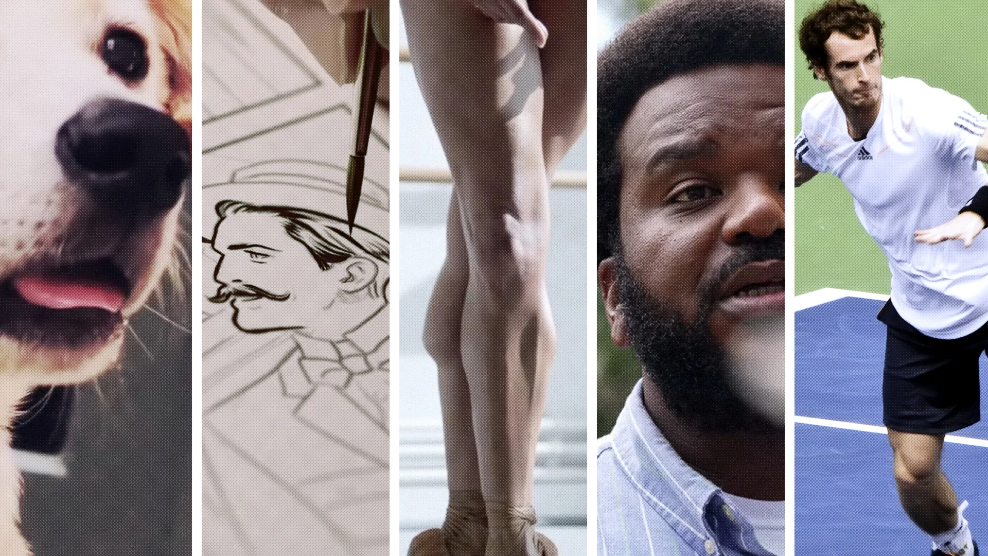 Dogs On Tinder, And Remembering Andy Murray: The Top 5 Ads Of The Week ...
