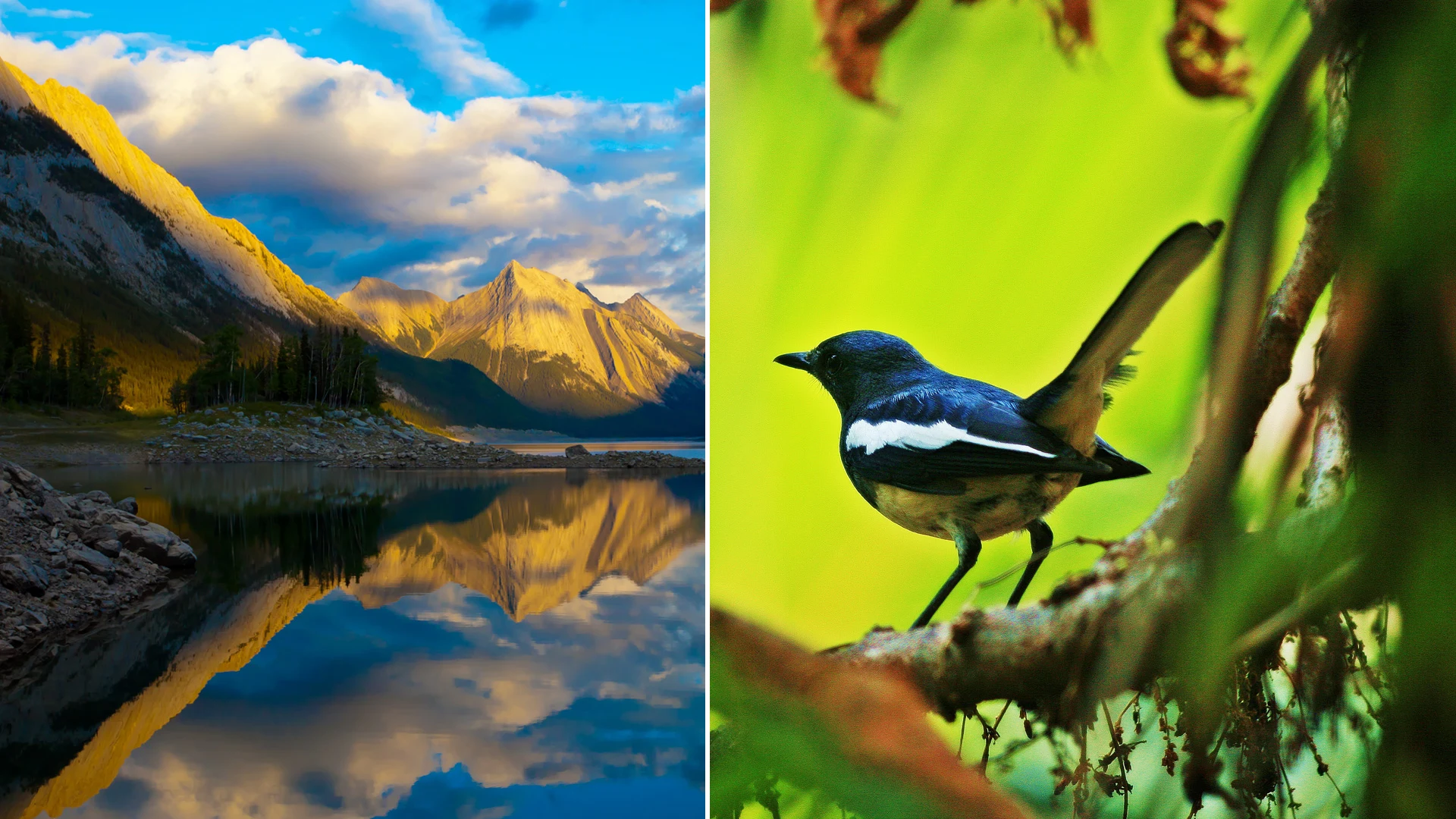 How Flickr Is Learning To See What's In Your Photos - Fast Company