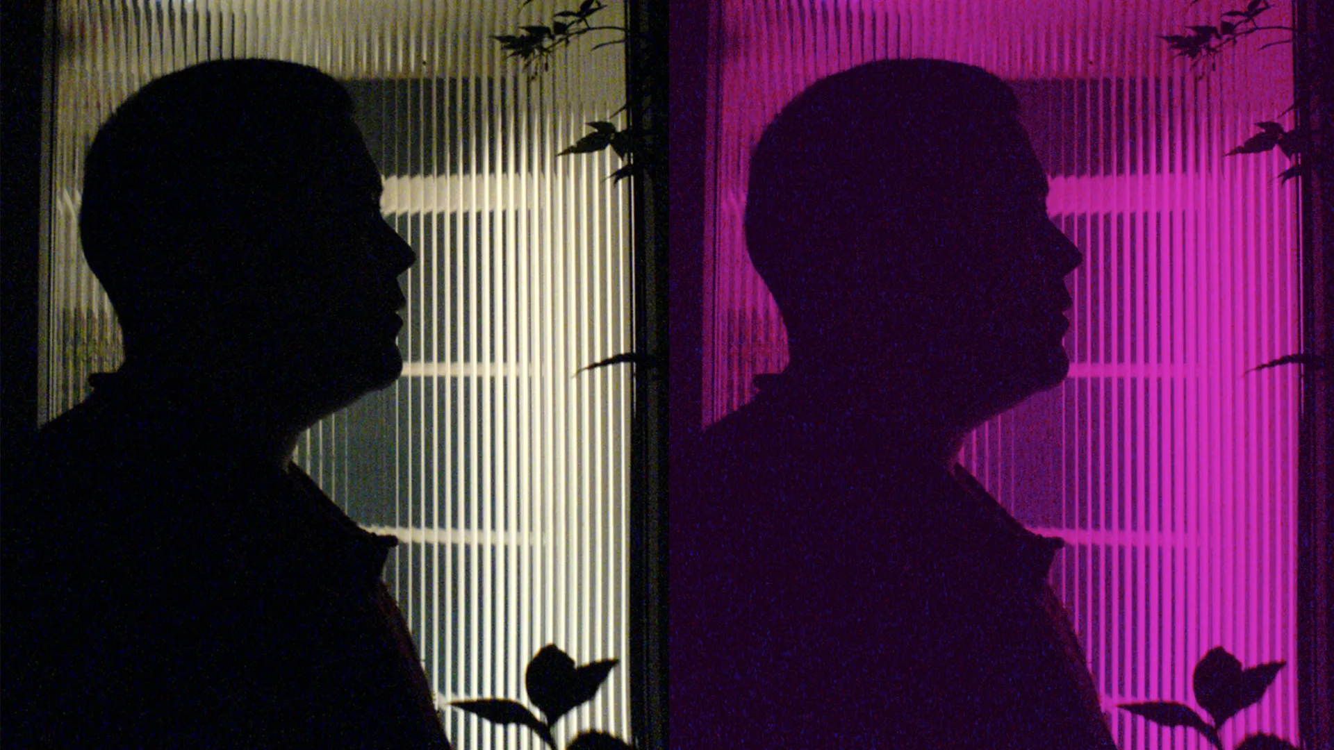 5 Tips To Charm Your Way To The Top - Fast Company