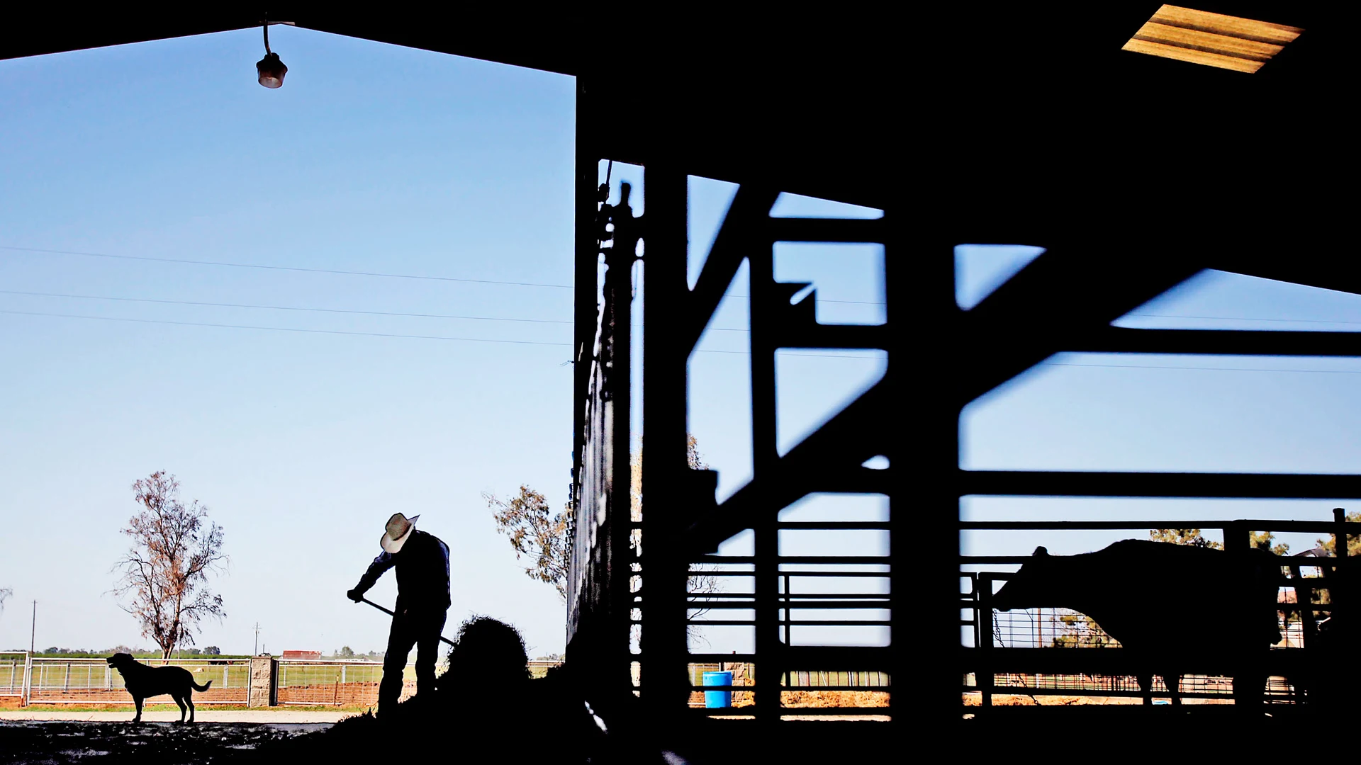 Death of a Family Farm - Fast Company