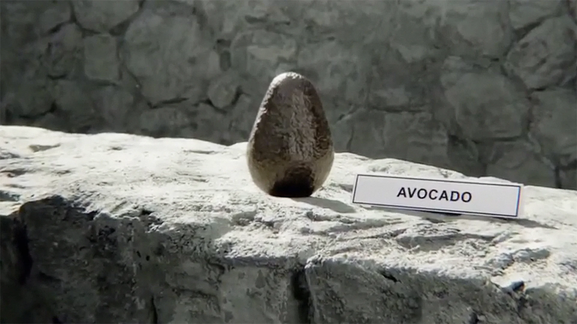 Avocados From Mexico Take A Look At The First Draft Day Ever - Fast Company
