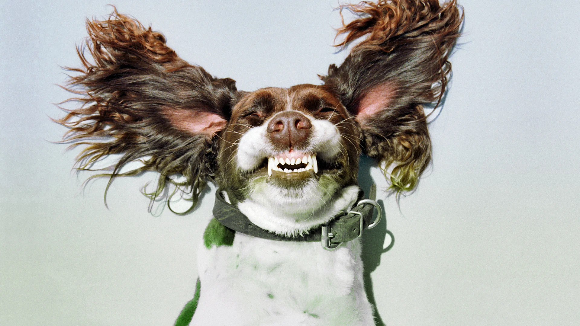 Funny Is Money: Why Your Creative Process Should Make You Laugh - Fast ...