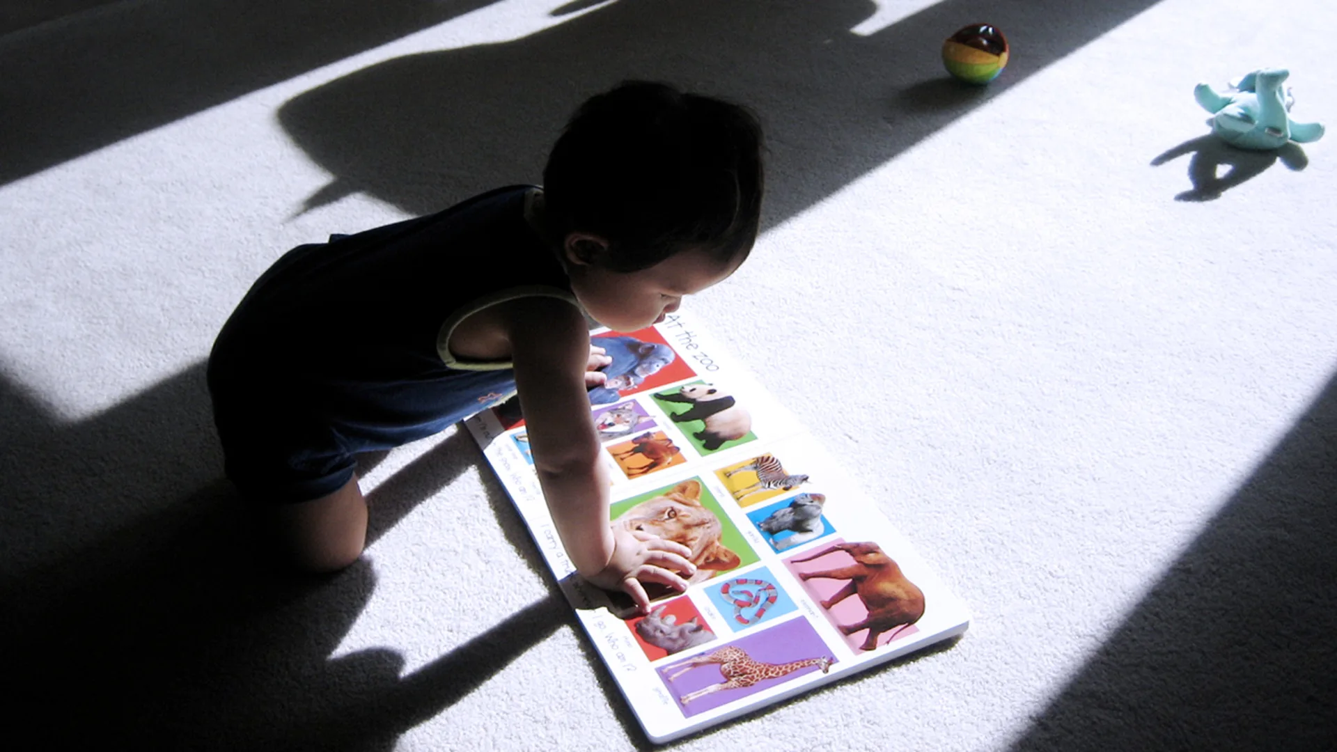 How Your Personality Determines How You Learn - Fast Company