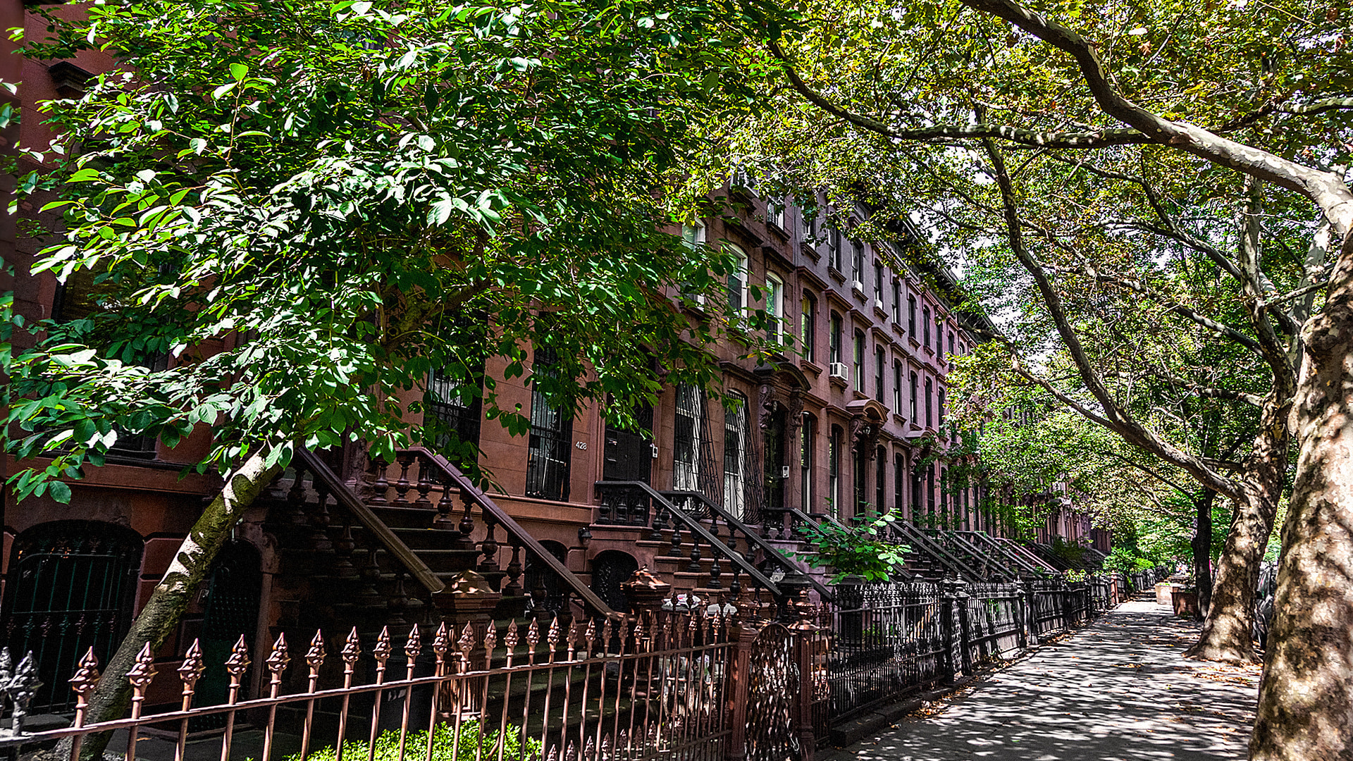 NASA Explains Why You Should Live On A Tree-Lined Street-And A Tree ...
