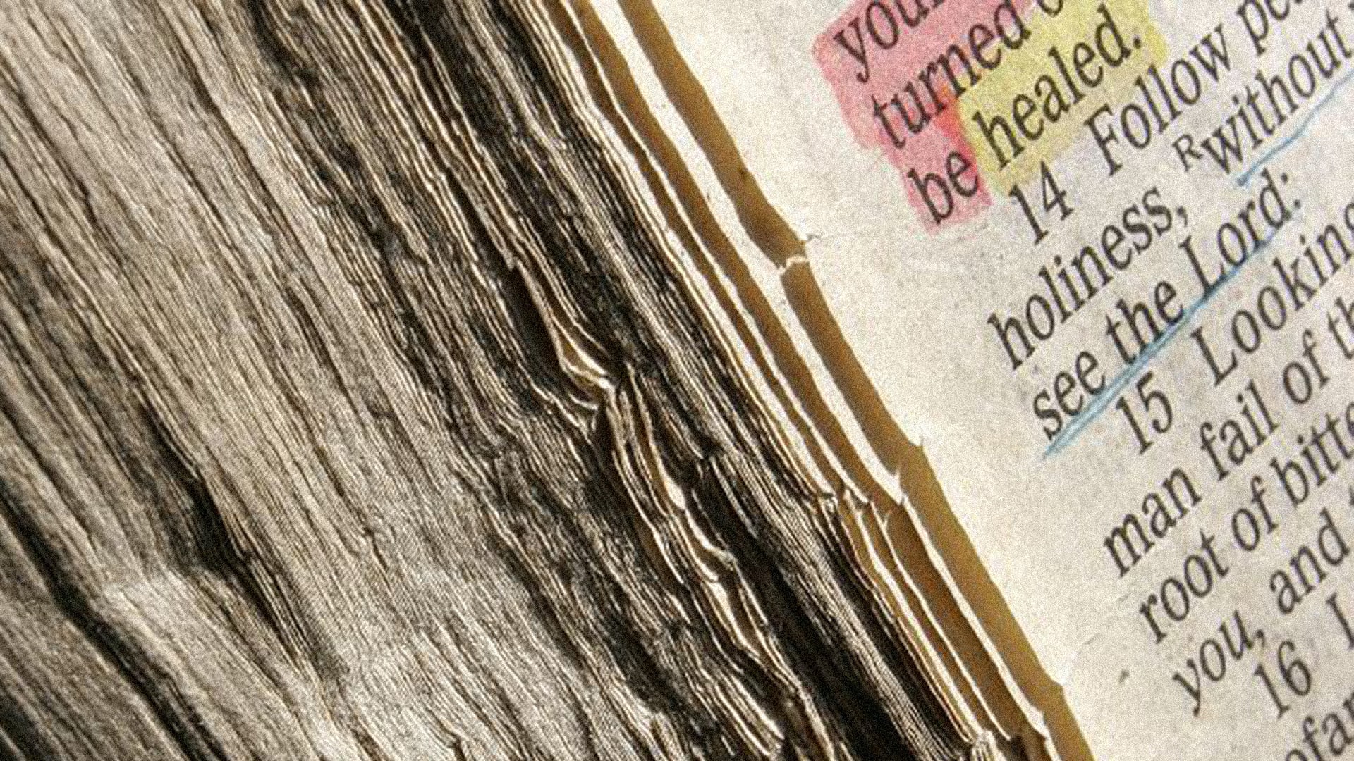 The Bible Is Linguists' Secret Weapon For Machine-Translating Obscure ...