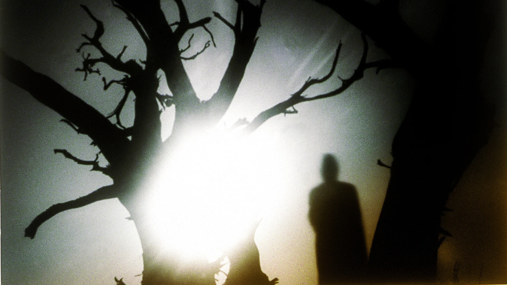 Don't Cross The Streams: The Tech Of Modern "Ghost Hunting" - Fast Company