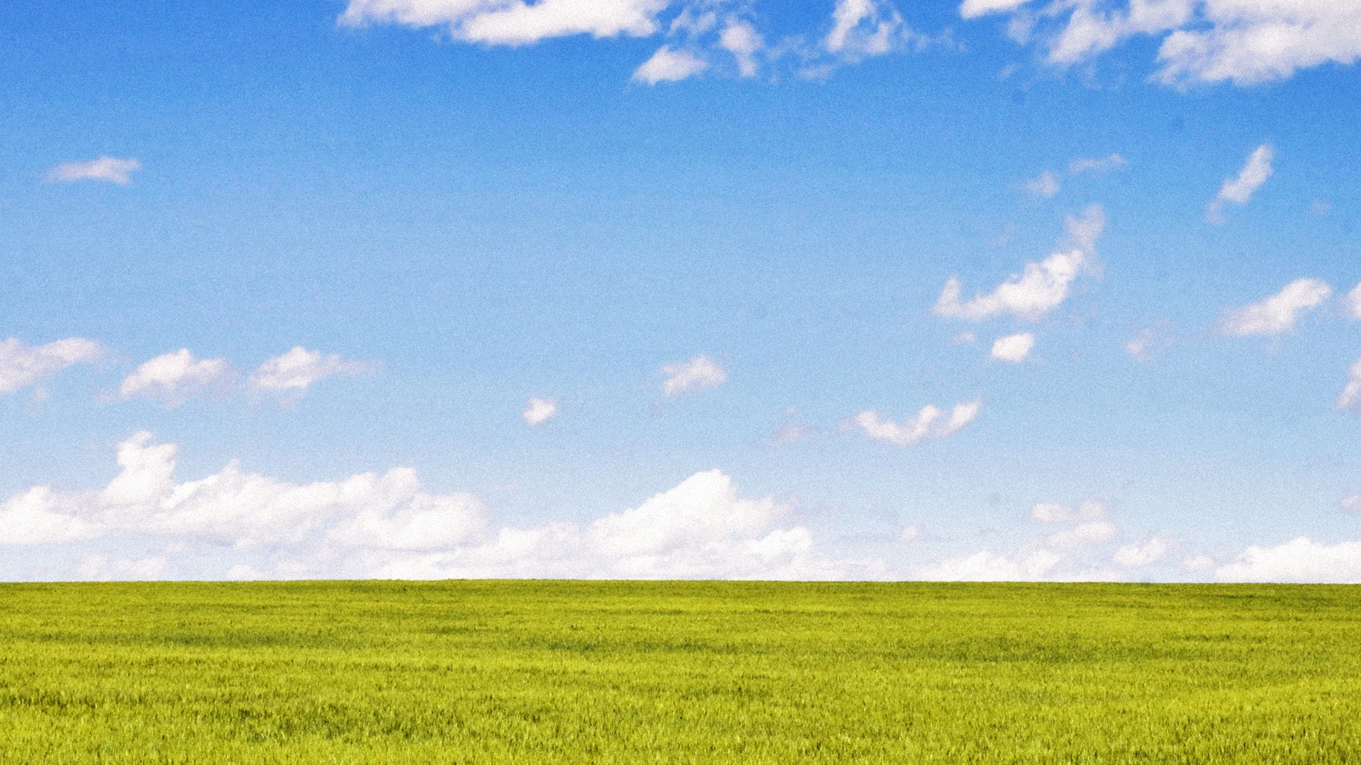 1995: The Year Everything Changed - Fast Company