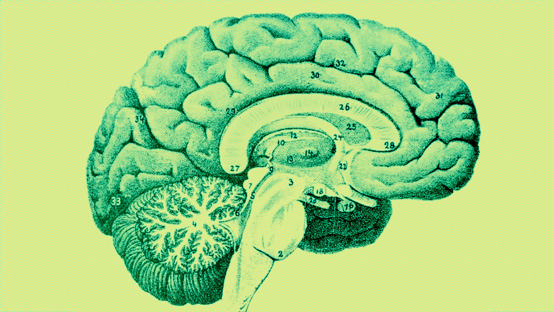 Here's How Your Brain Prevents You From Following Your Intentions ...