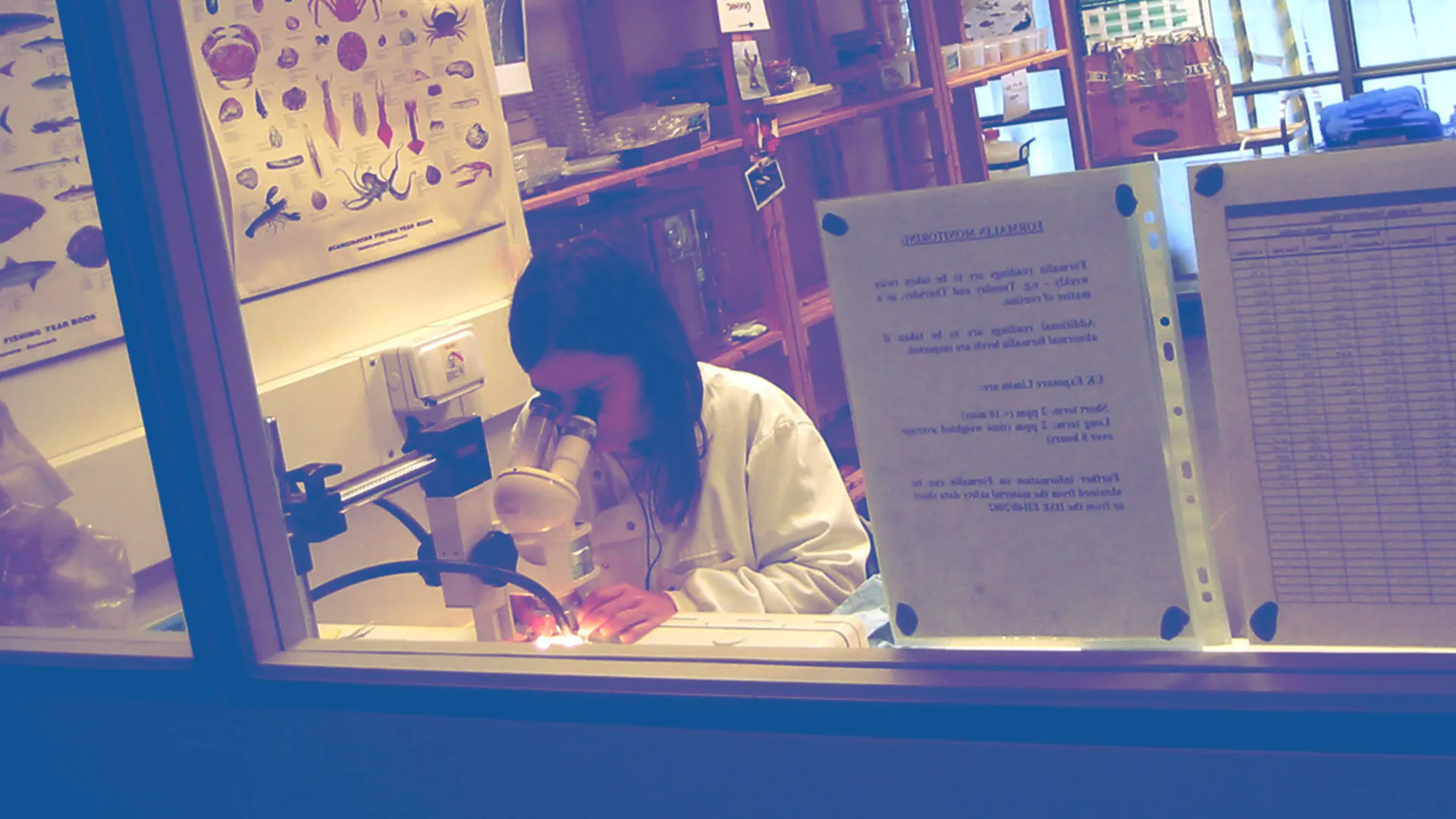 How To Turn Your Current Job Into Your Dream Job - Fast Company