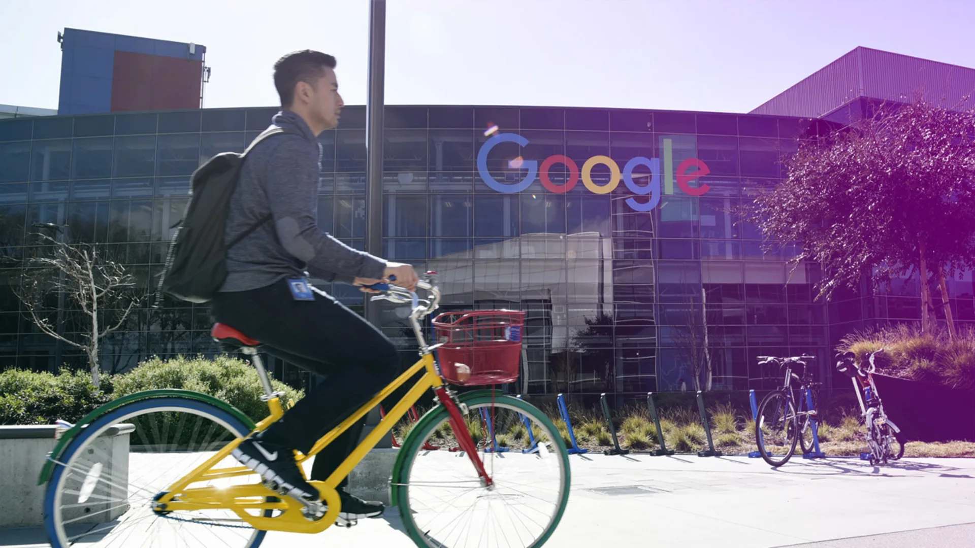 Why Innovative Companies Like Google Are Letting Employees Craft Their ...