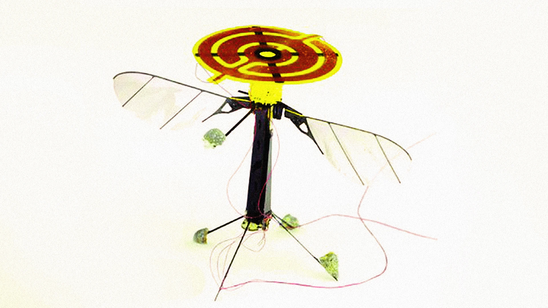 These Harvard-Designed Robobees Can Perch For Days Using Static ...