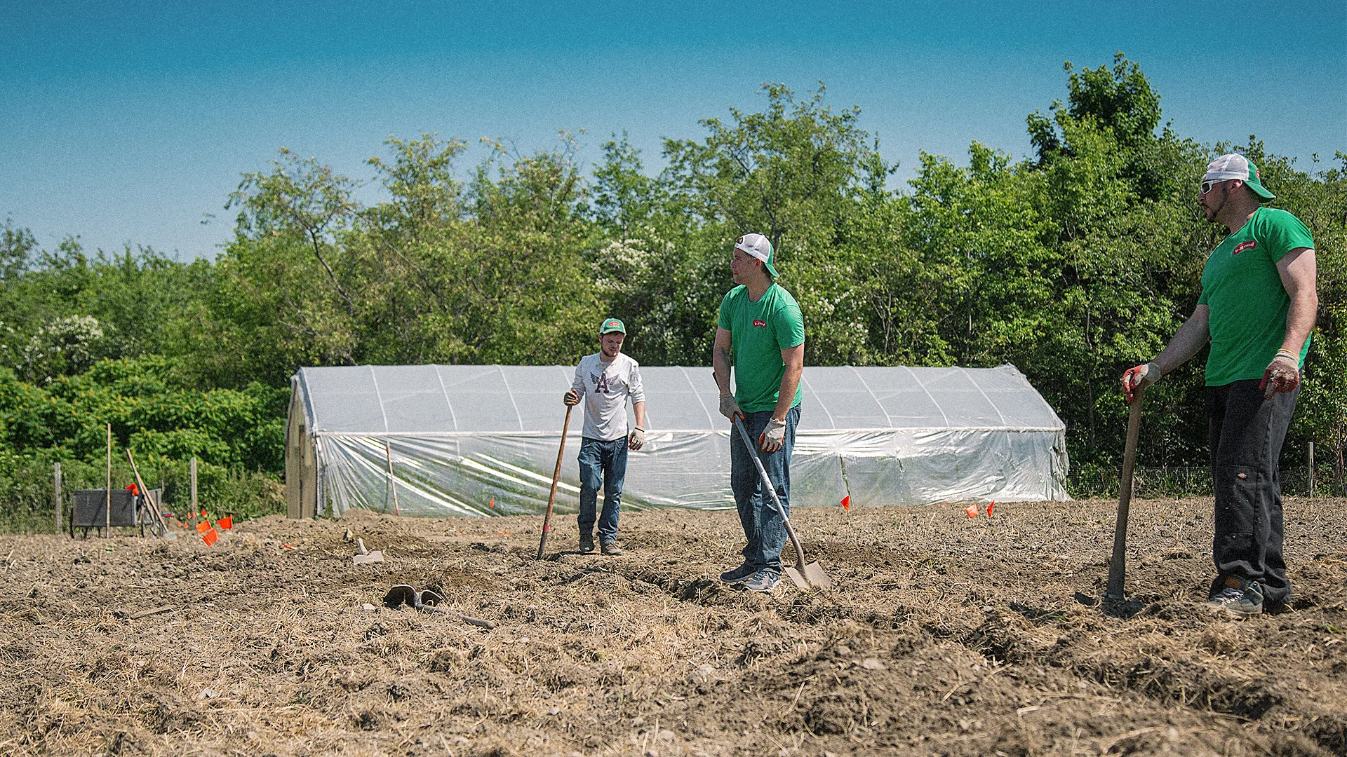 Now Even Fast-Food Chains Are Getting Into Farming Their Own Produce ...