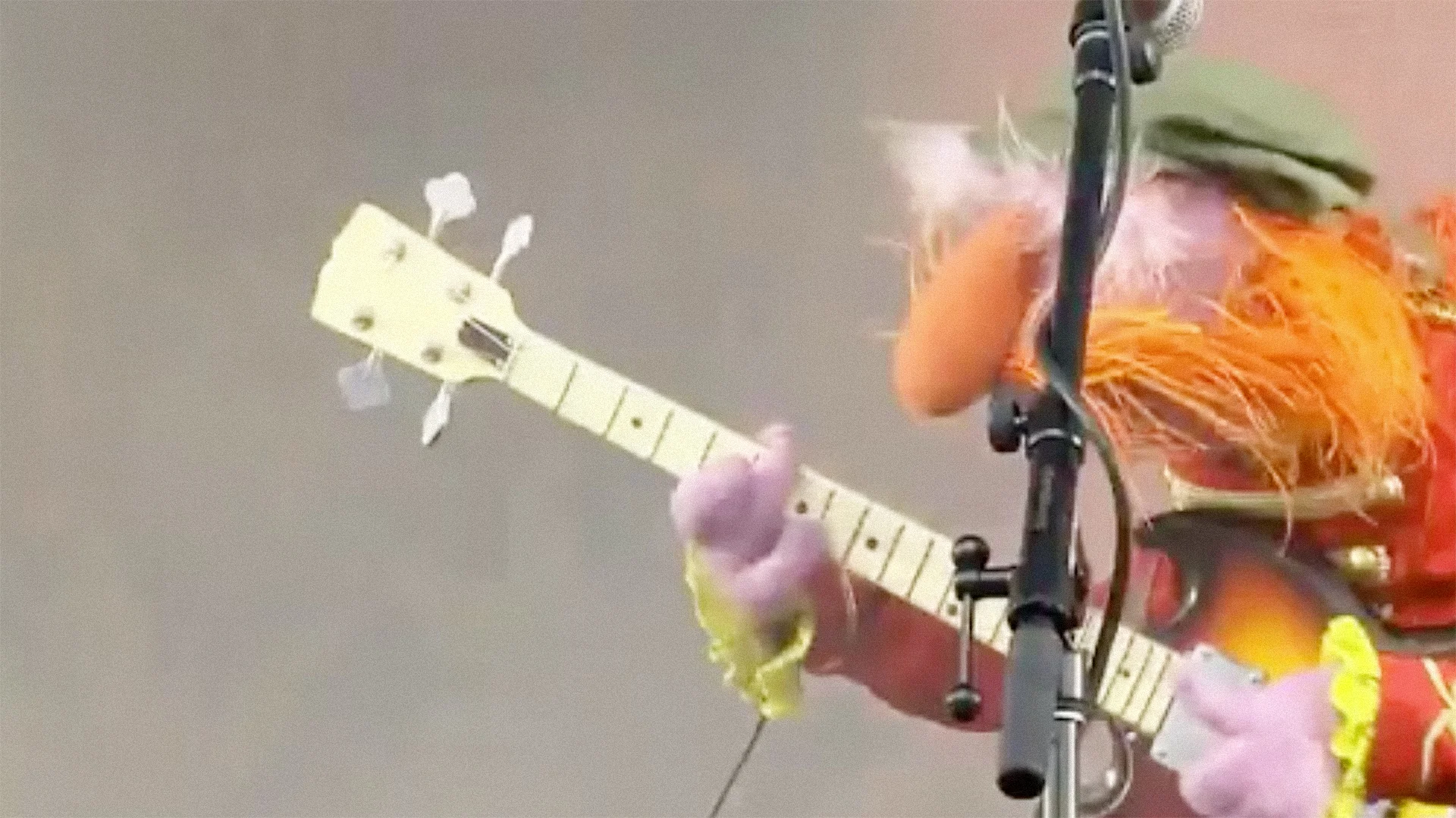 See The Muppet's Dr. Teeth & The Electric Mayhem Play Live With No ...