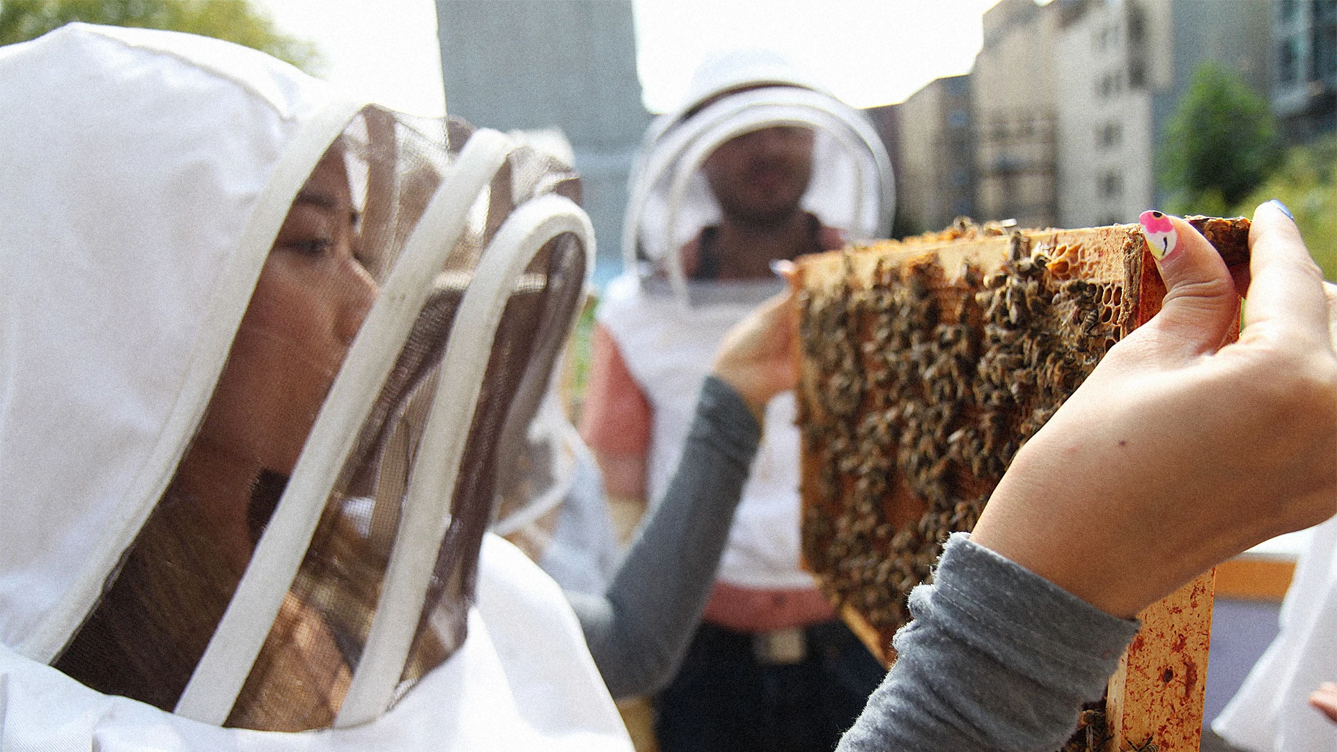 This Bee-Inspired Algorithm Helps Delivery Companies Plan The Most ...