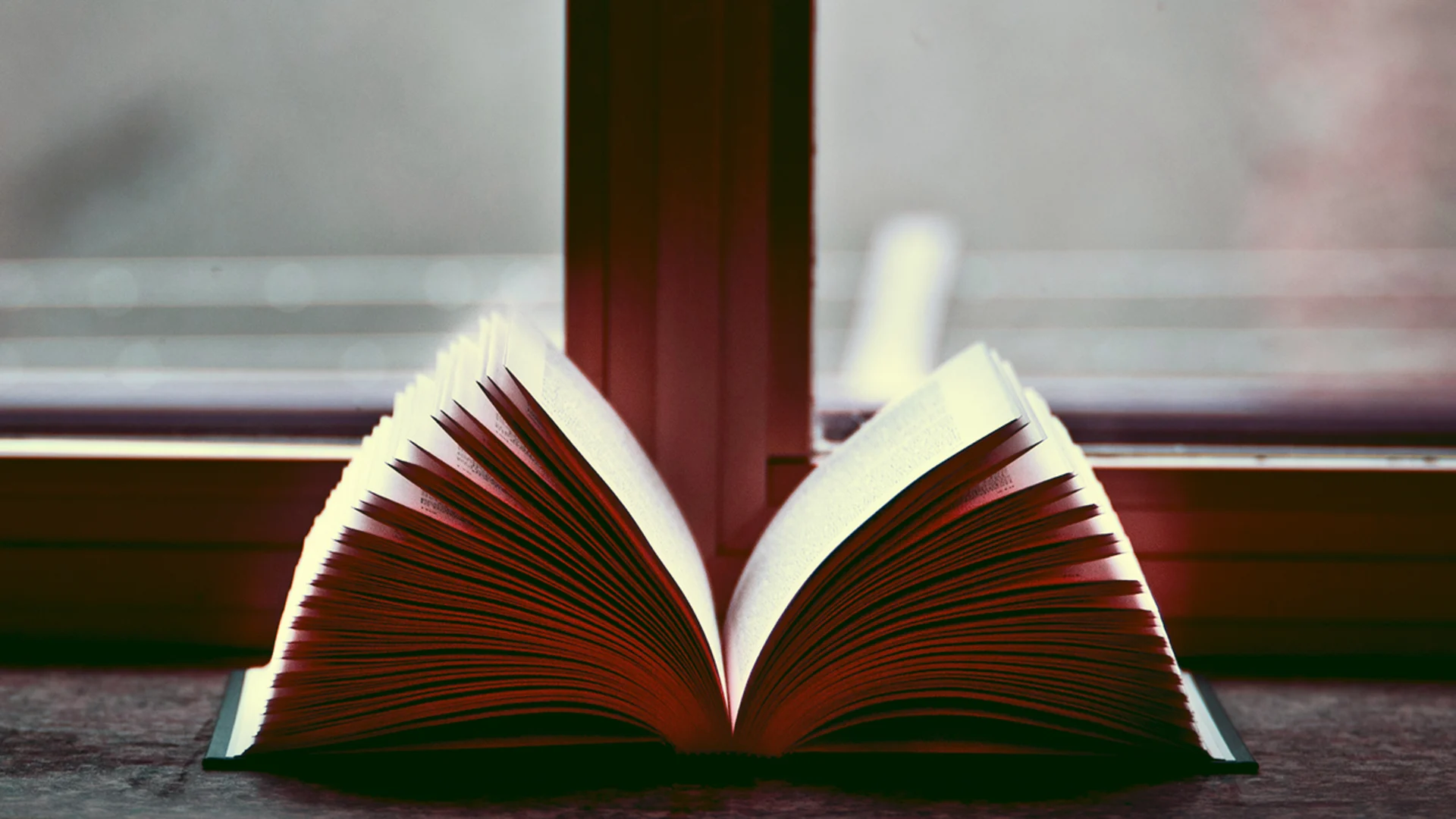 How I Quit My Job And Finally Wrote That Novel - Fast Company